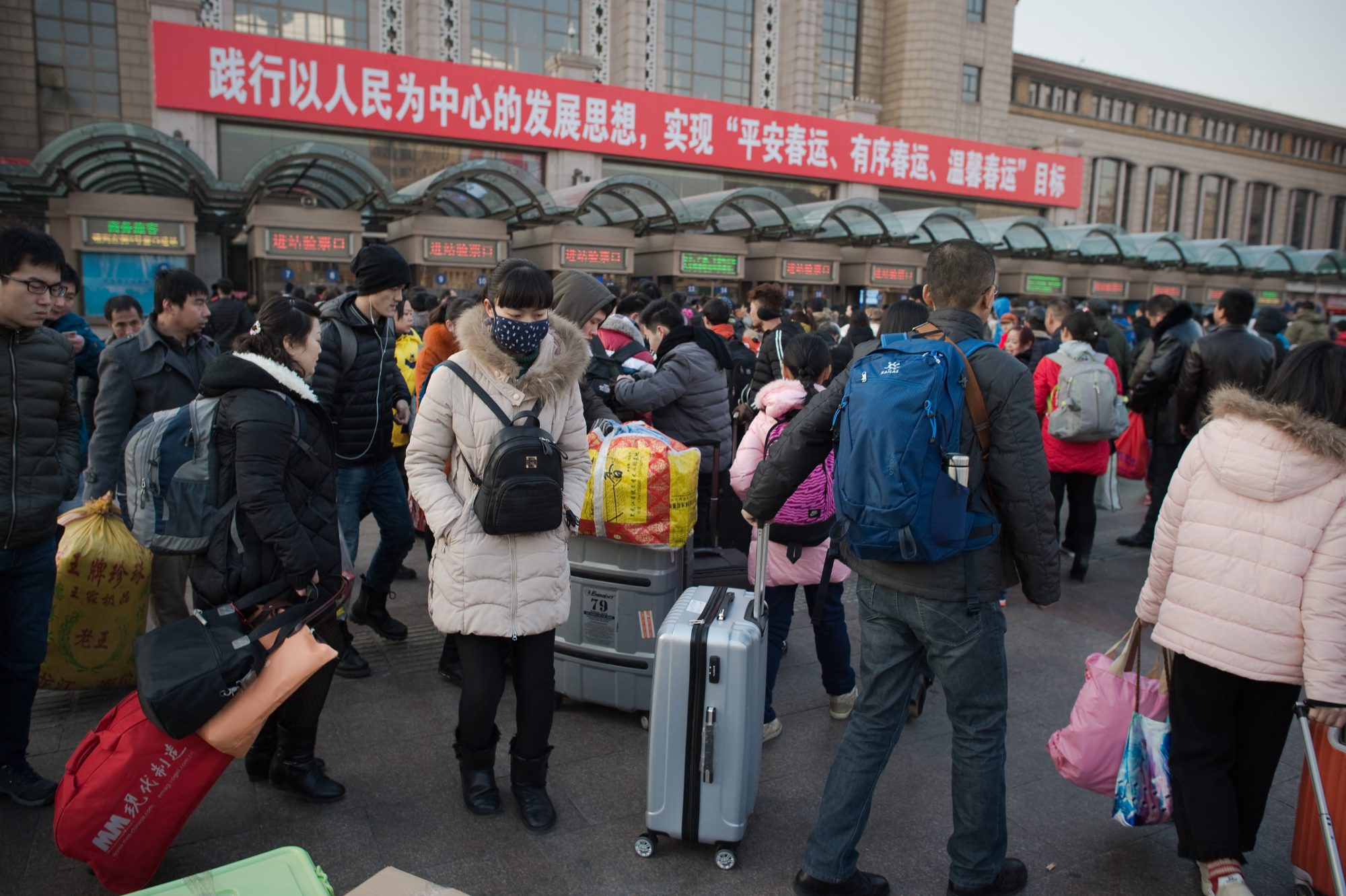 ‘Pets are family’: Beijing woman and 2 kittens carpool for 26 hours on ...