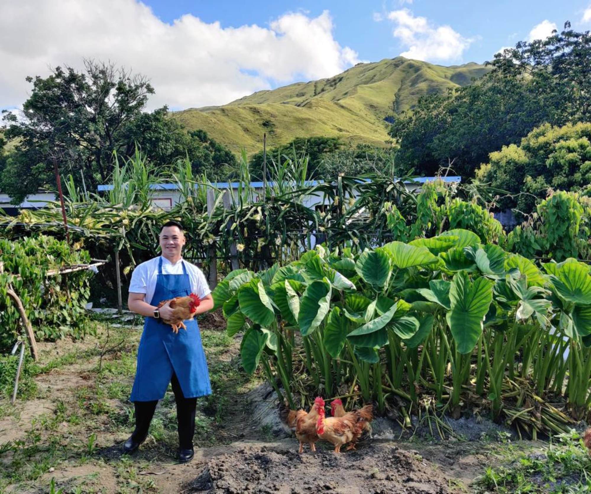 Why Chinese crispy fried chicken is so popular, and the Hong Kong chefs ...