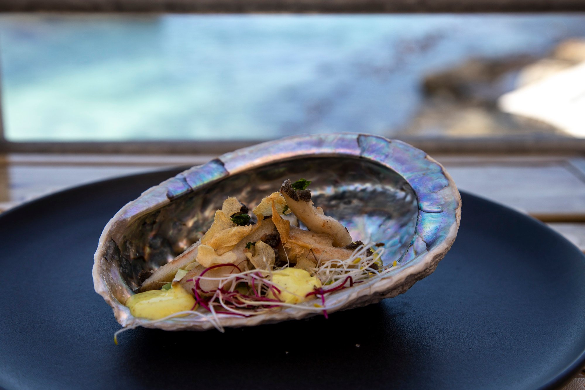 How Asian appetites for abalone - ‘white gold’ - foster crime in South ...