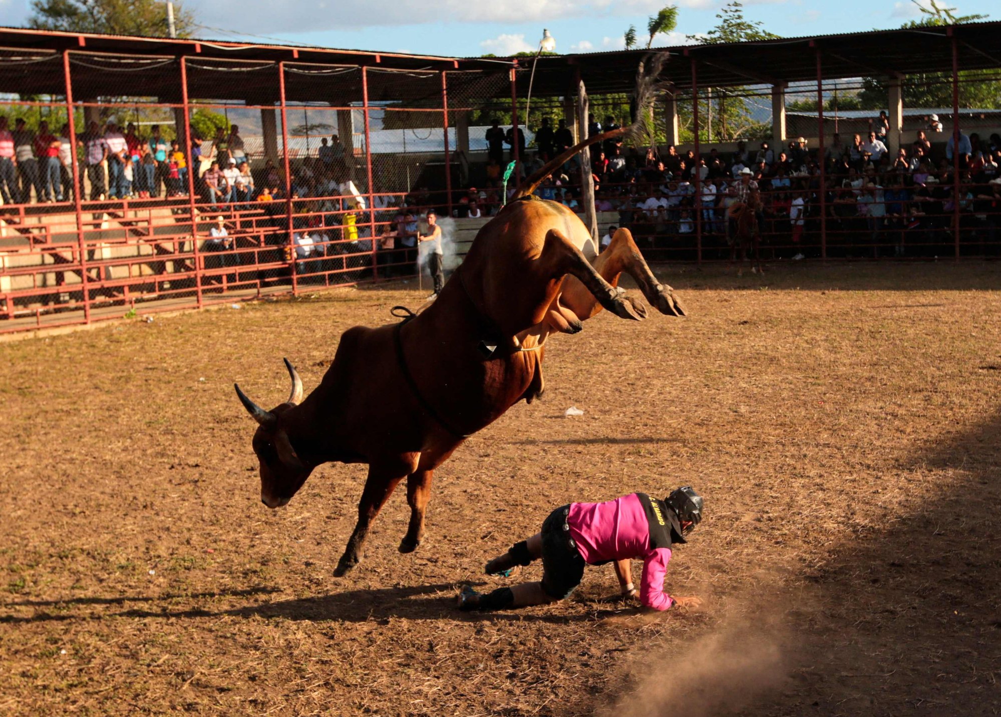 Women rodeo bull riders buck tradition in macho Nicaragua | South China ...