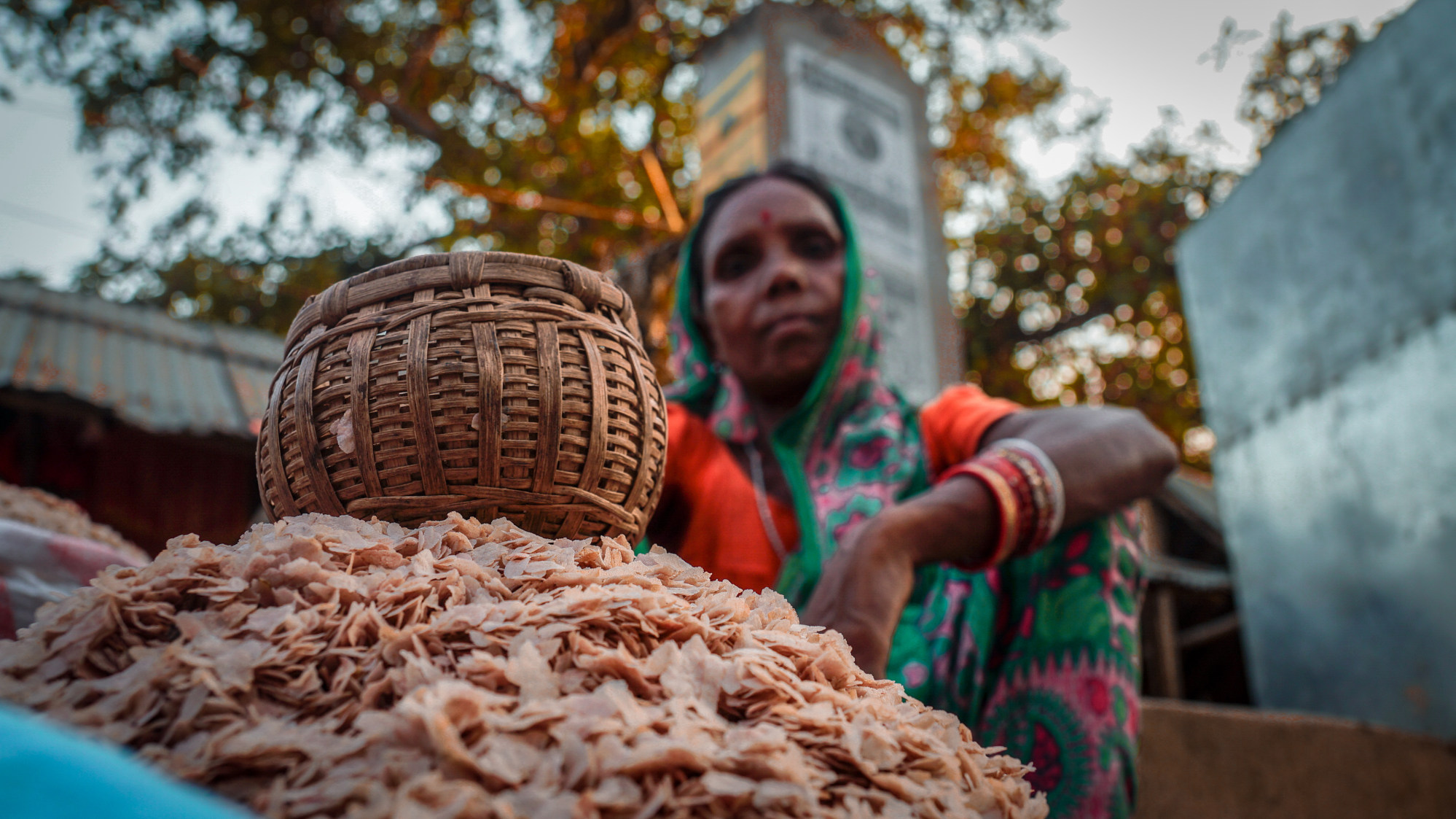 Gordon Ramsay called it ‘delicious’: how India’s red ant chutney has ...