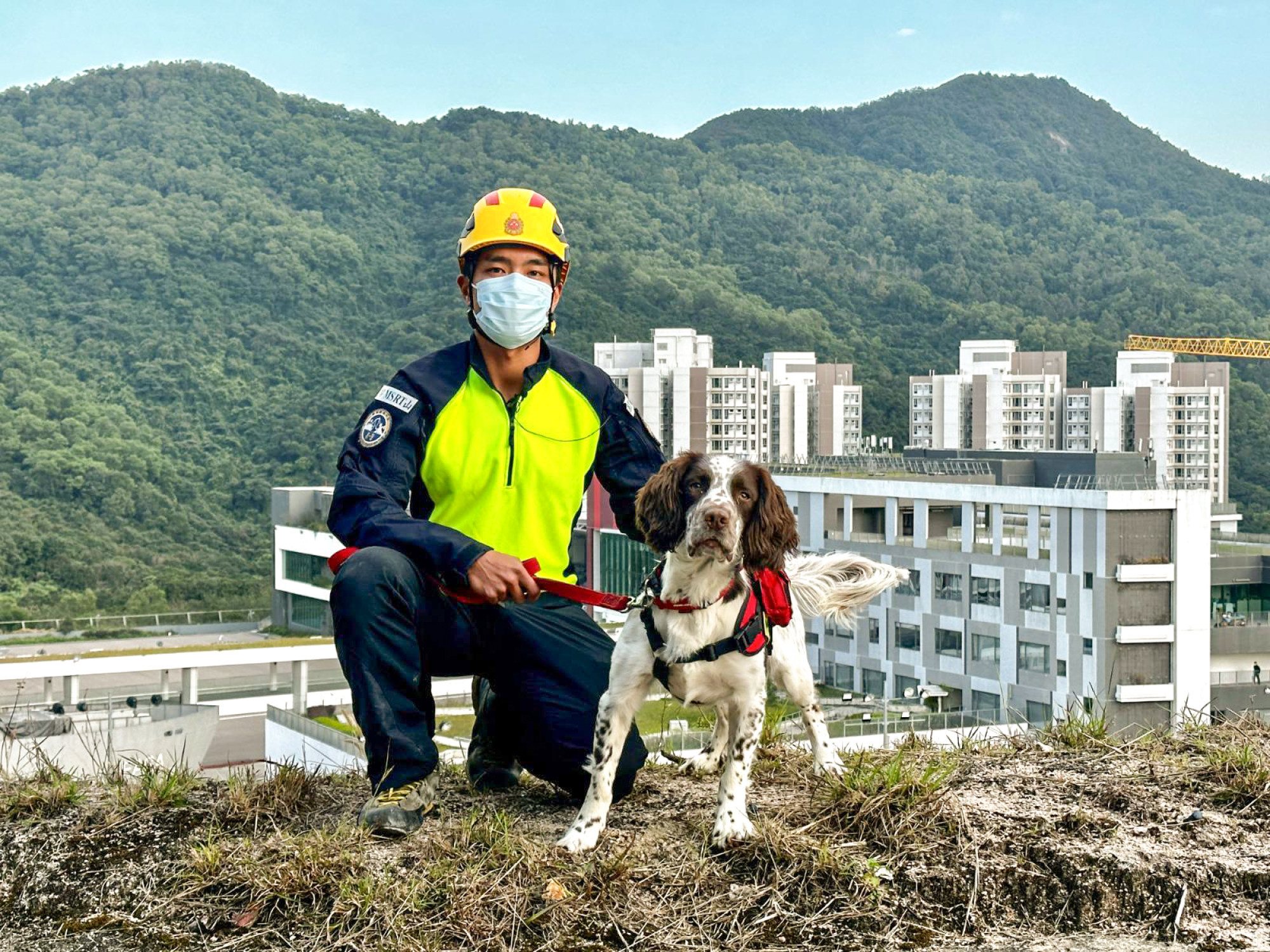 Turkey-Syria quake: Hong Kong rescue dogs brave tough conditions to ...