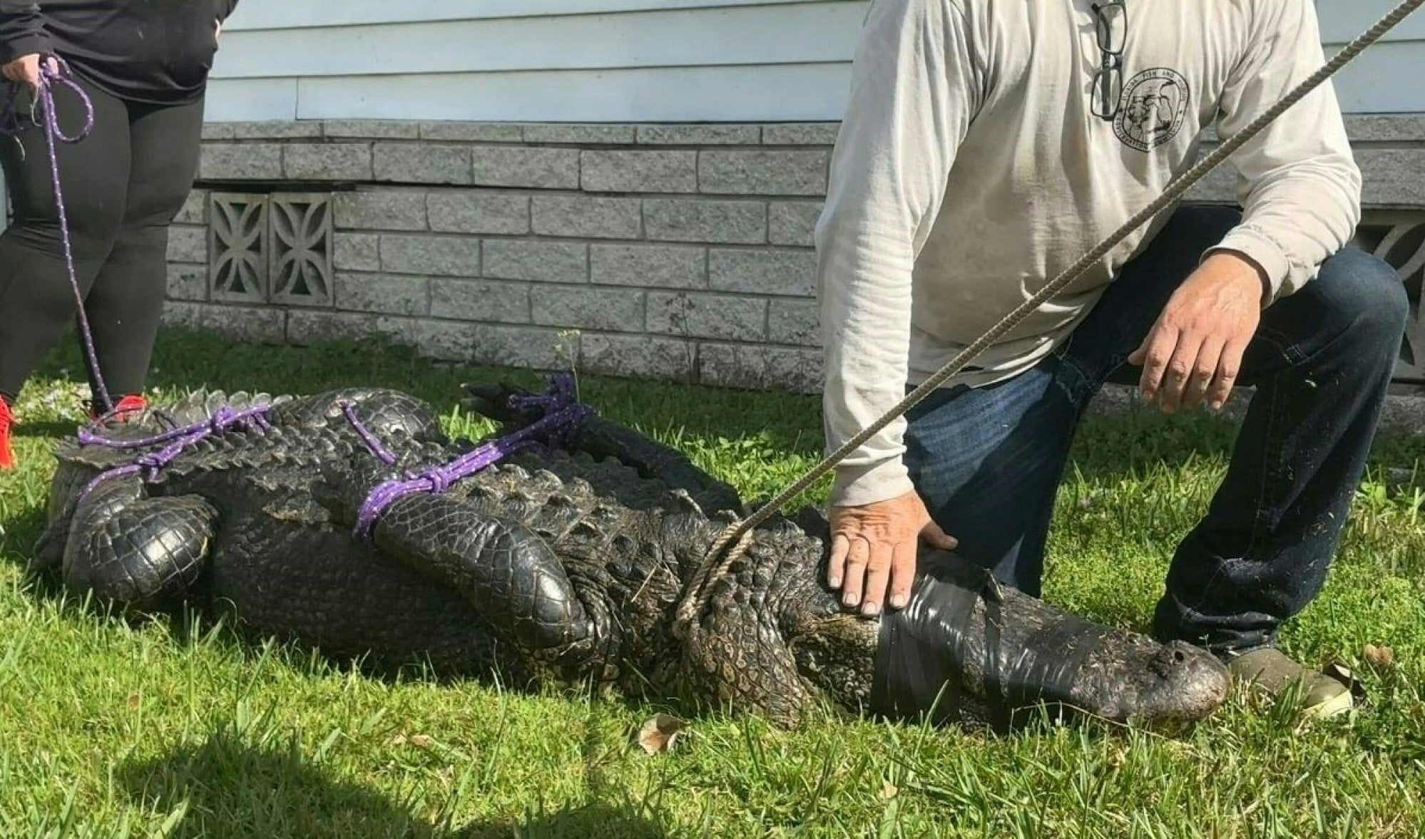 Alligator Kills 85 year old Woman Walking Her Dog In Florida South