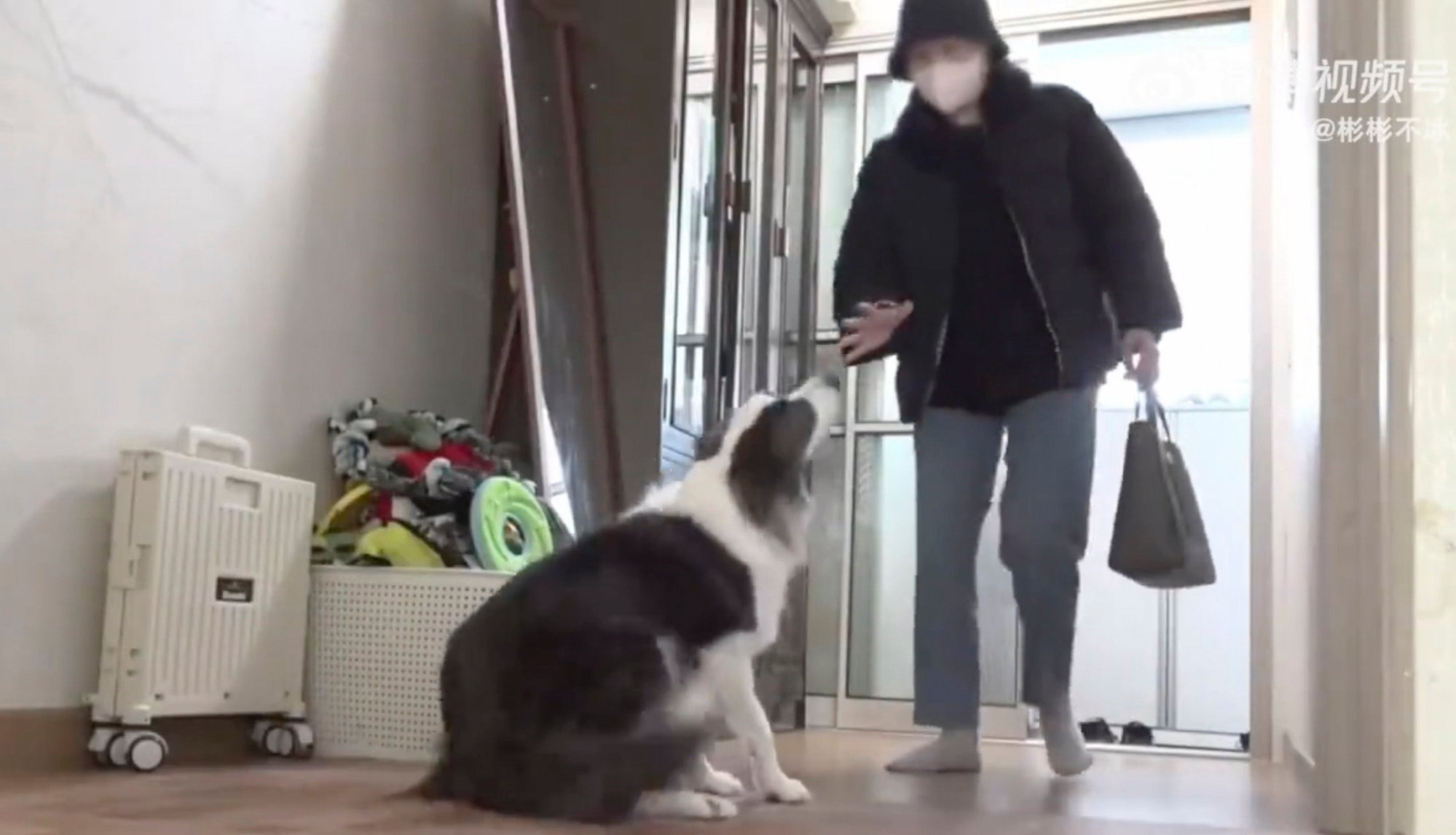 Video of loving dog’s relationship with cancer-stricken owner, hugging ...