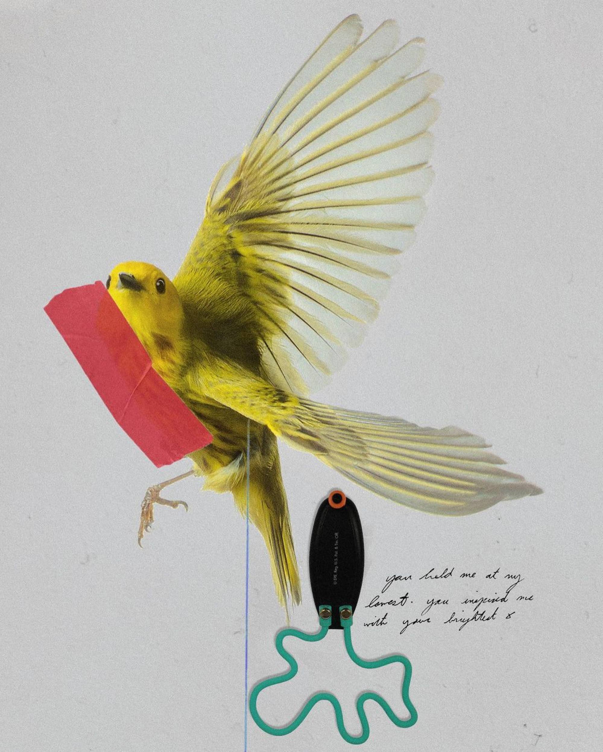 Meet history-making haute couturier Robert Wun: he just became the ...