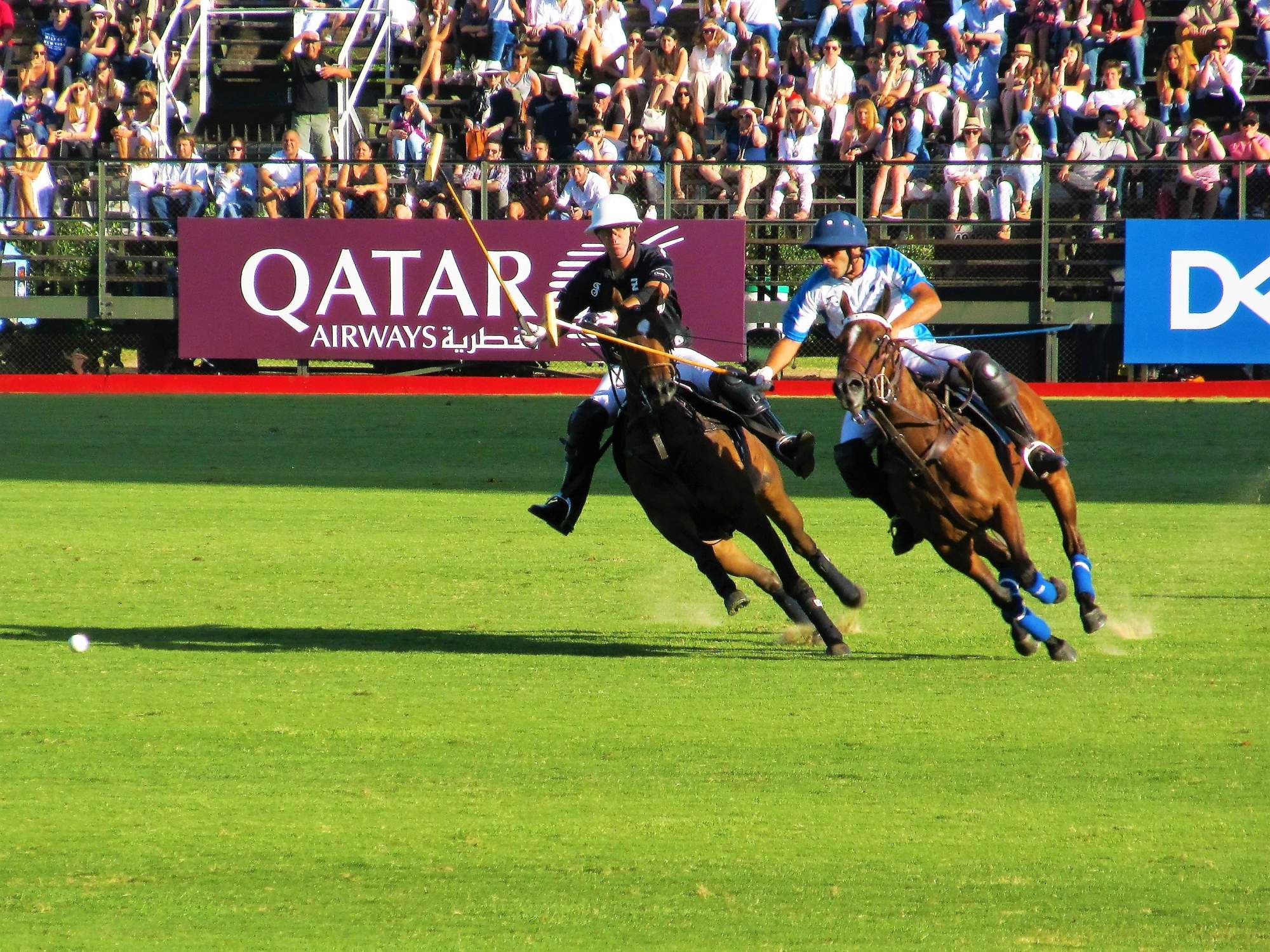 How polo became the ‘sport of kings’: loved by Prince Harry, Winston ...