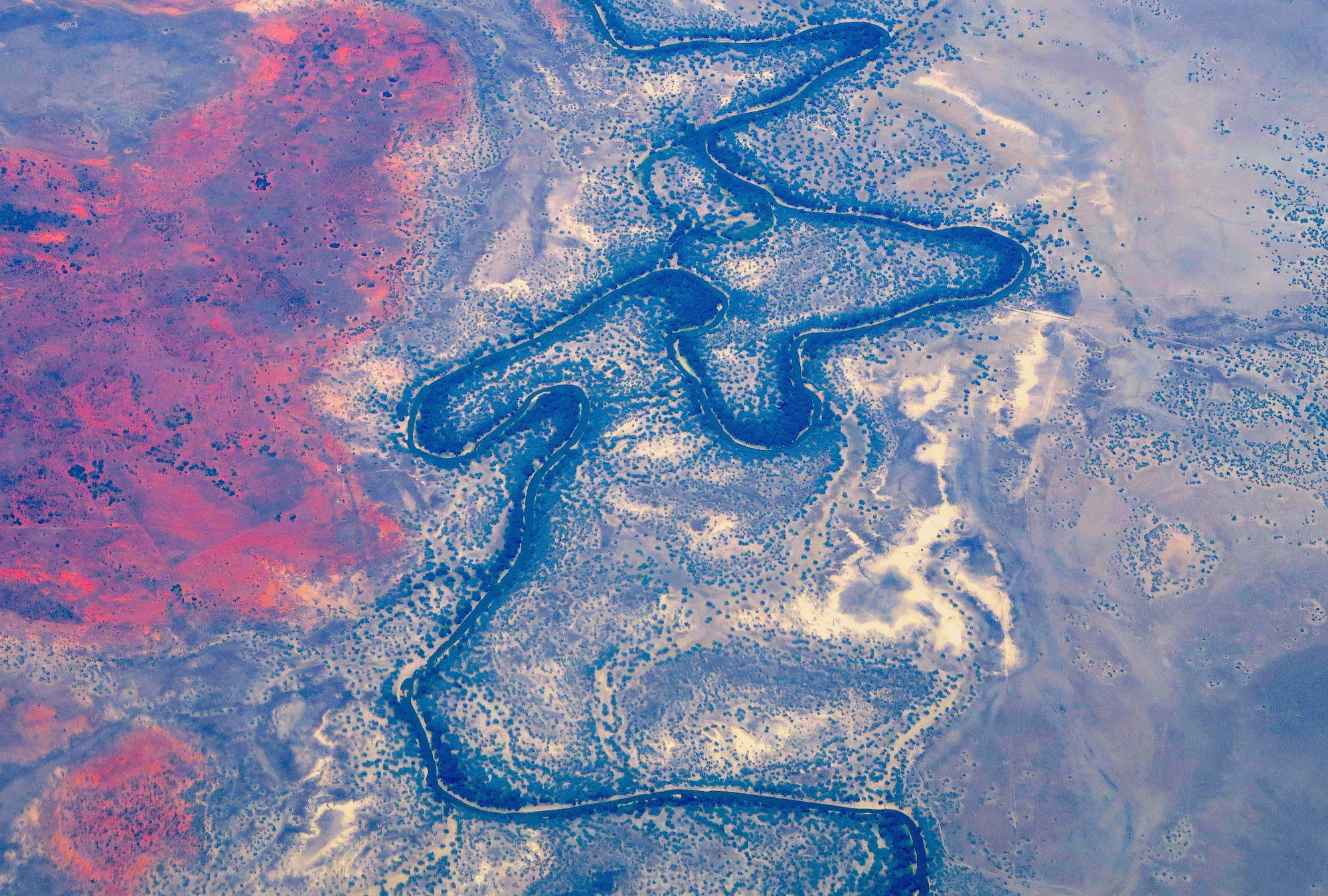 ‘It’s horrific’: millions of dead fish clog Australia’s Darling River ...