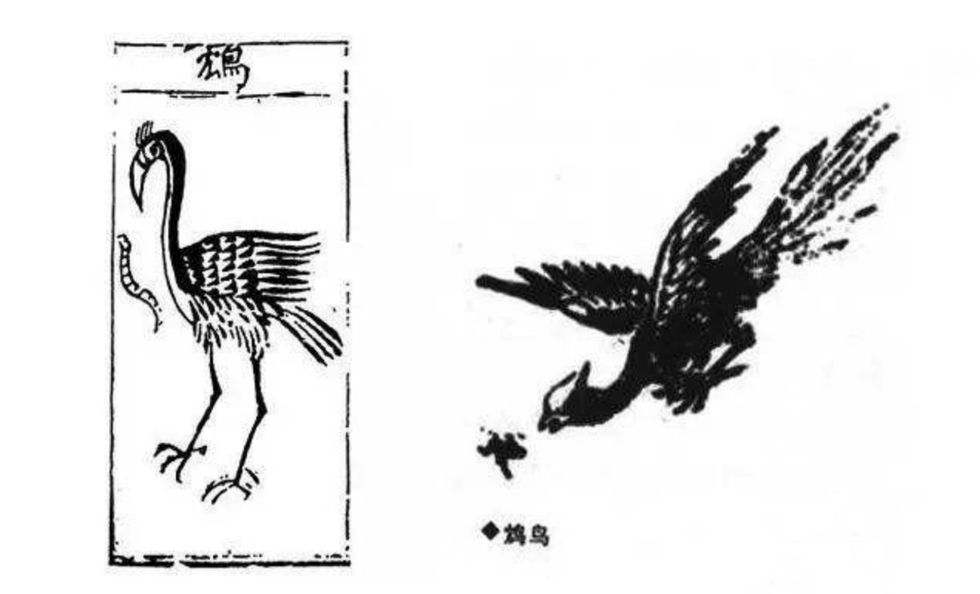 Opinion: Taiwan’s warning to not drink mainland China’s ‘poison to ...