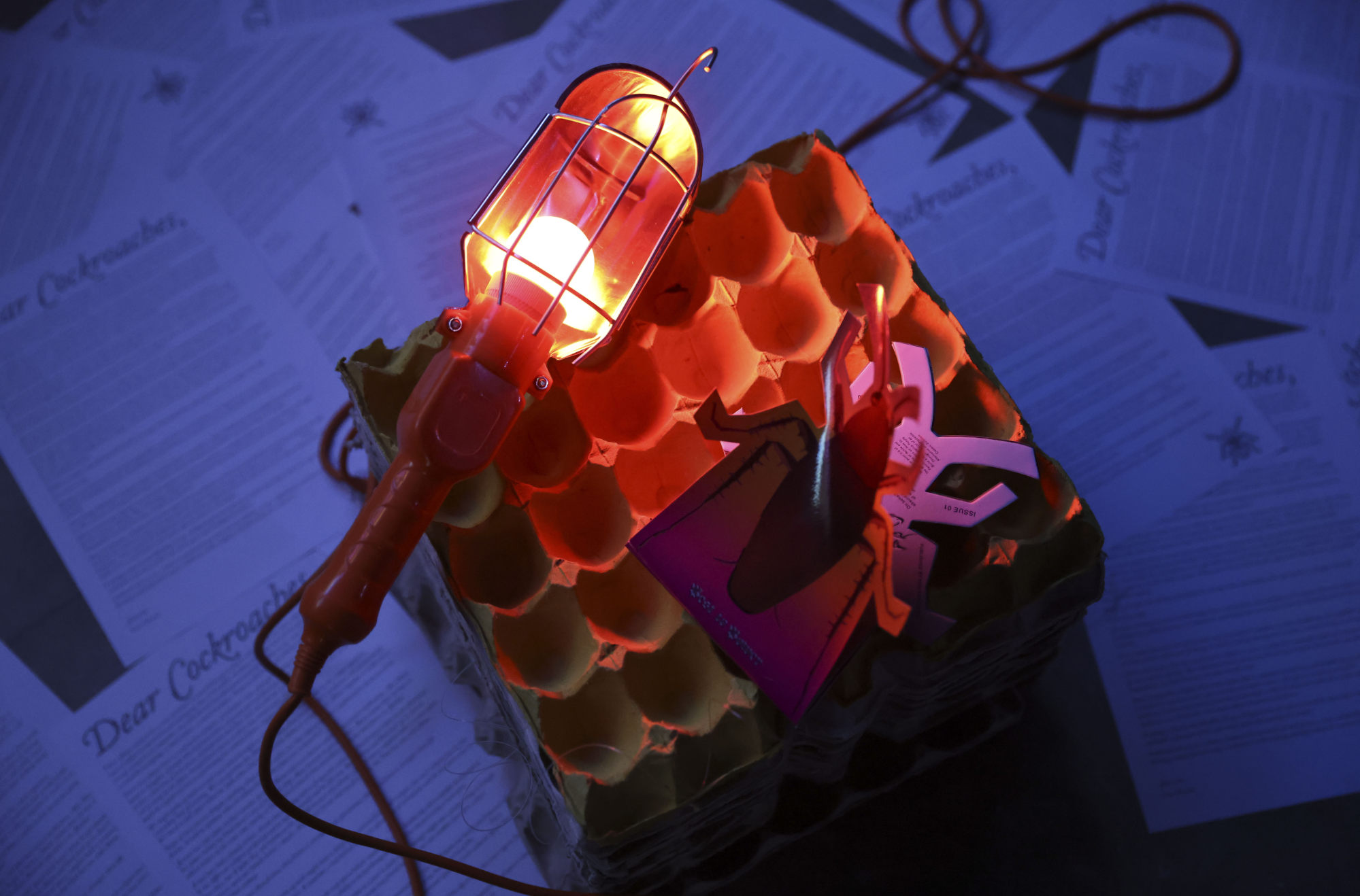 ‘Against social norms’: David Cronenberg and John Waters among ...