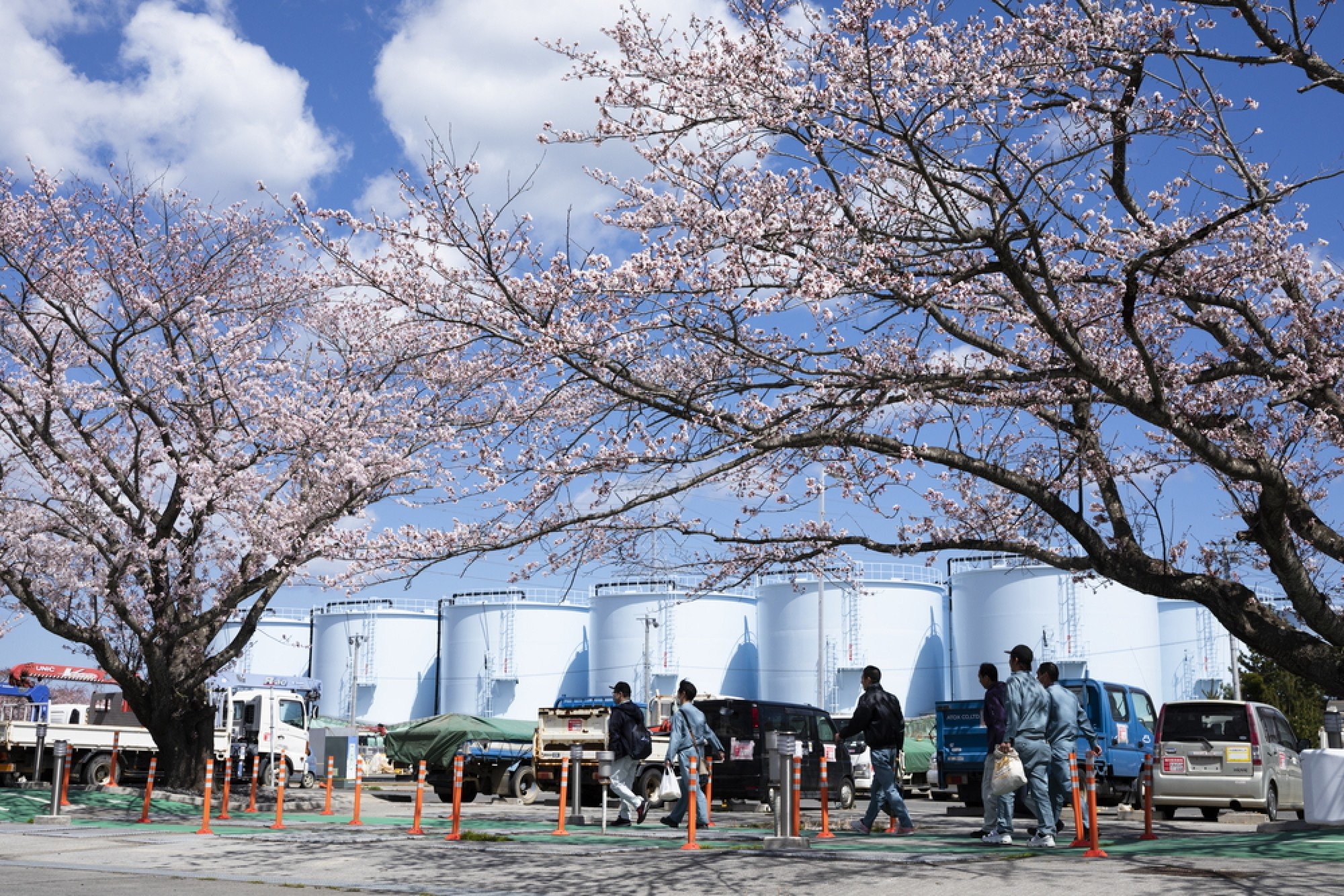 5 things you may not know about Fukushima, 12 years after the nuclear ...