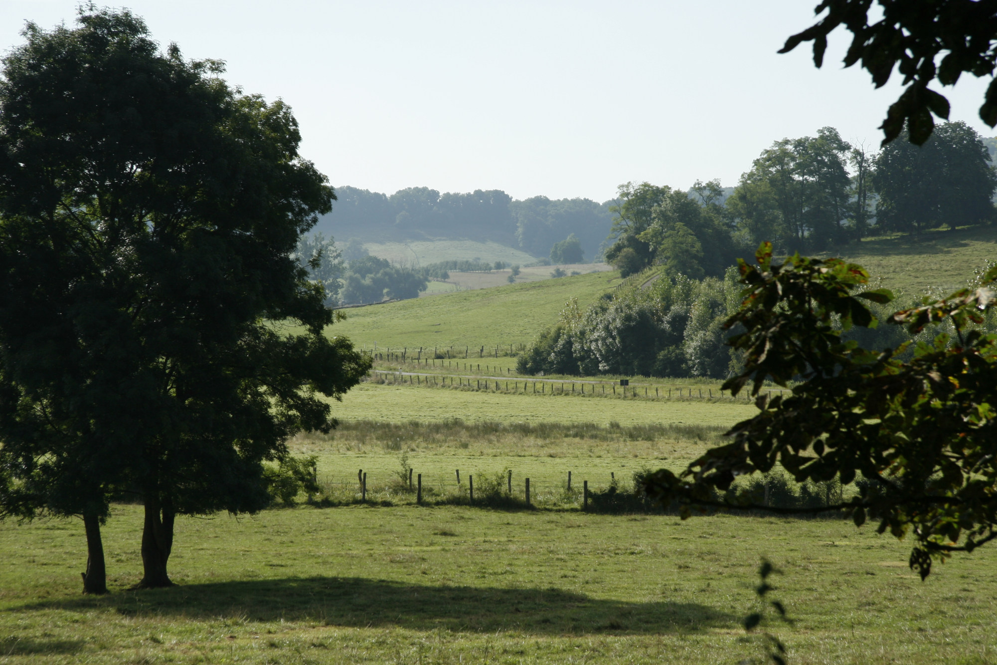 The Asian film festival in rural France few have heard of: cinema ...