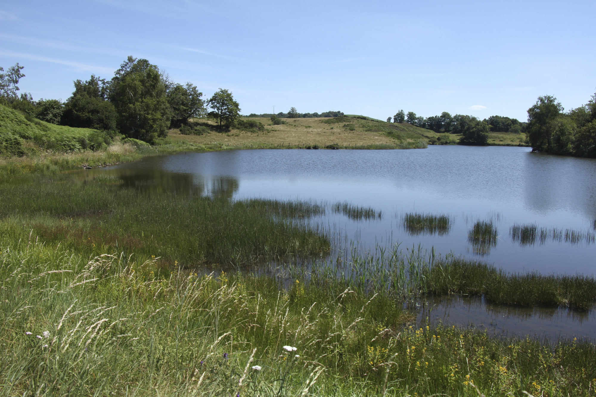 The Asian film festival in rural France few have heard of: cinema ...