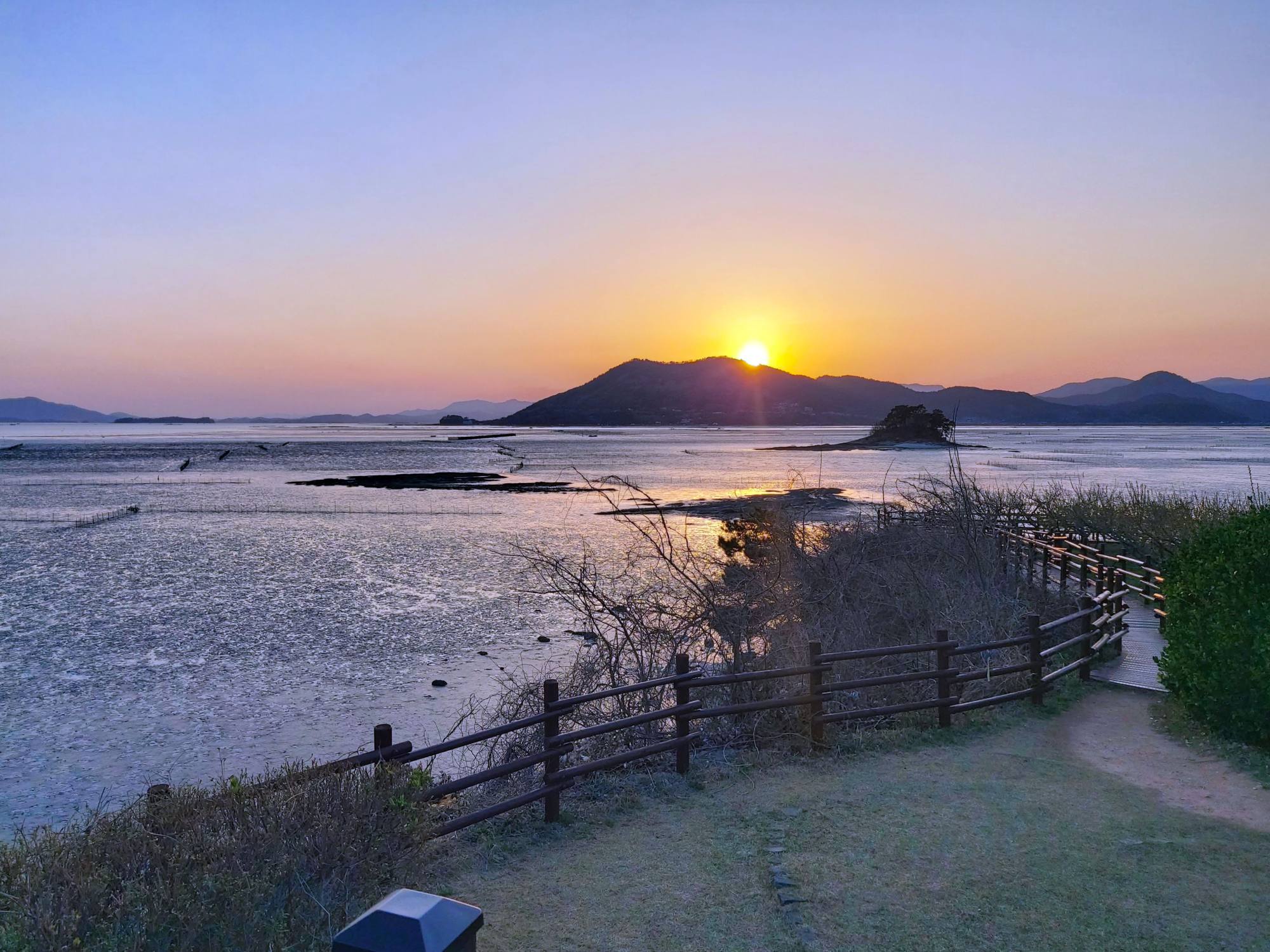 How conservation efforts breathed new life into South Korea’s Suncheon ...