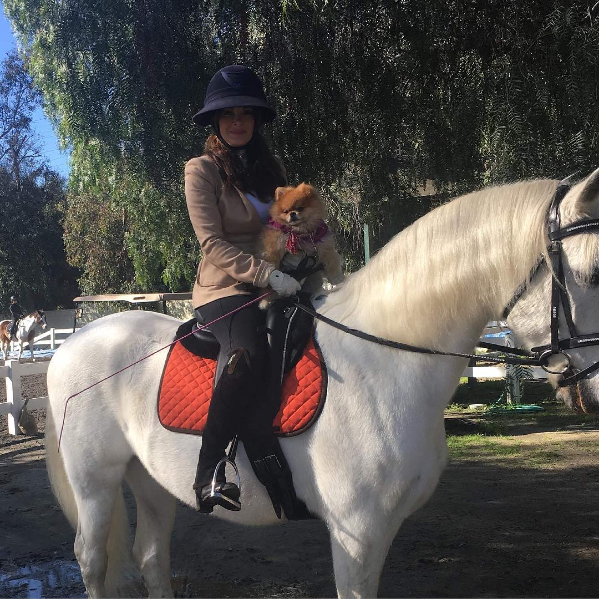 How RHOBH star Lisa Vanderpump makes and spends her millions: she ...