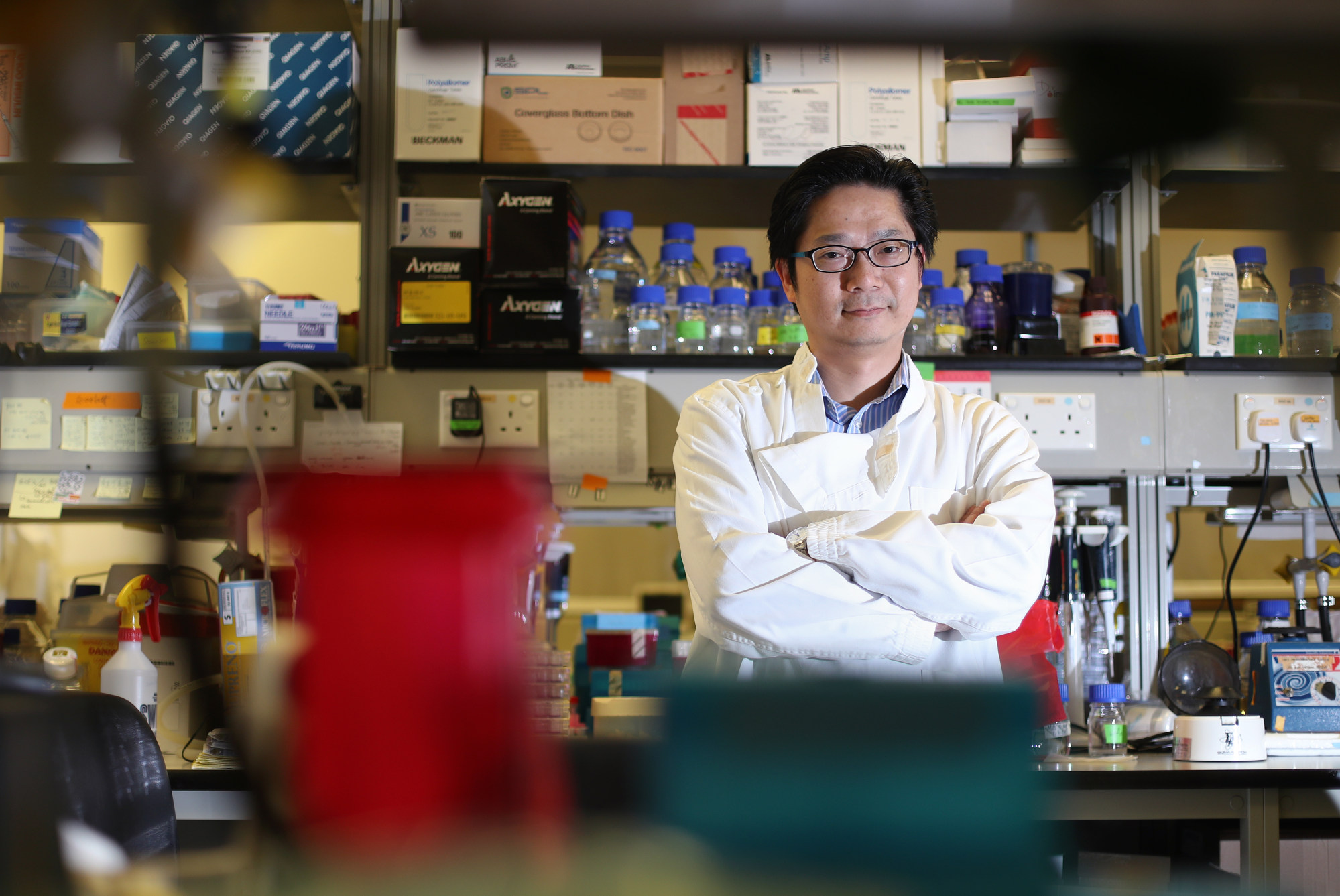 Appeal for Hong Kong to screen for bird flu variant after Guangdong ...