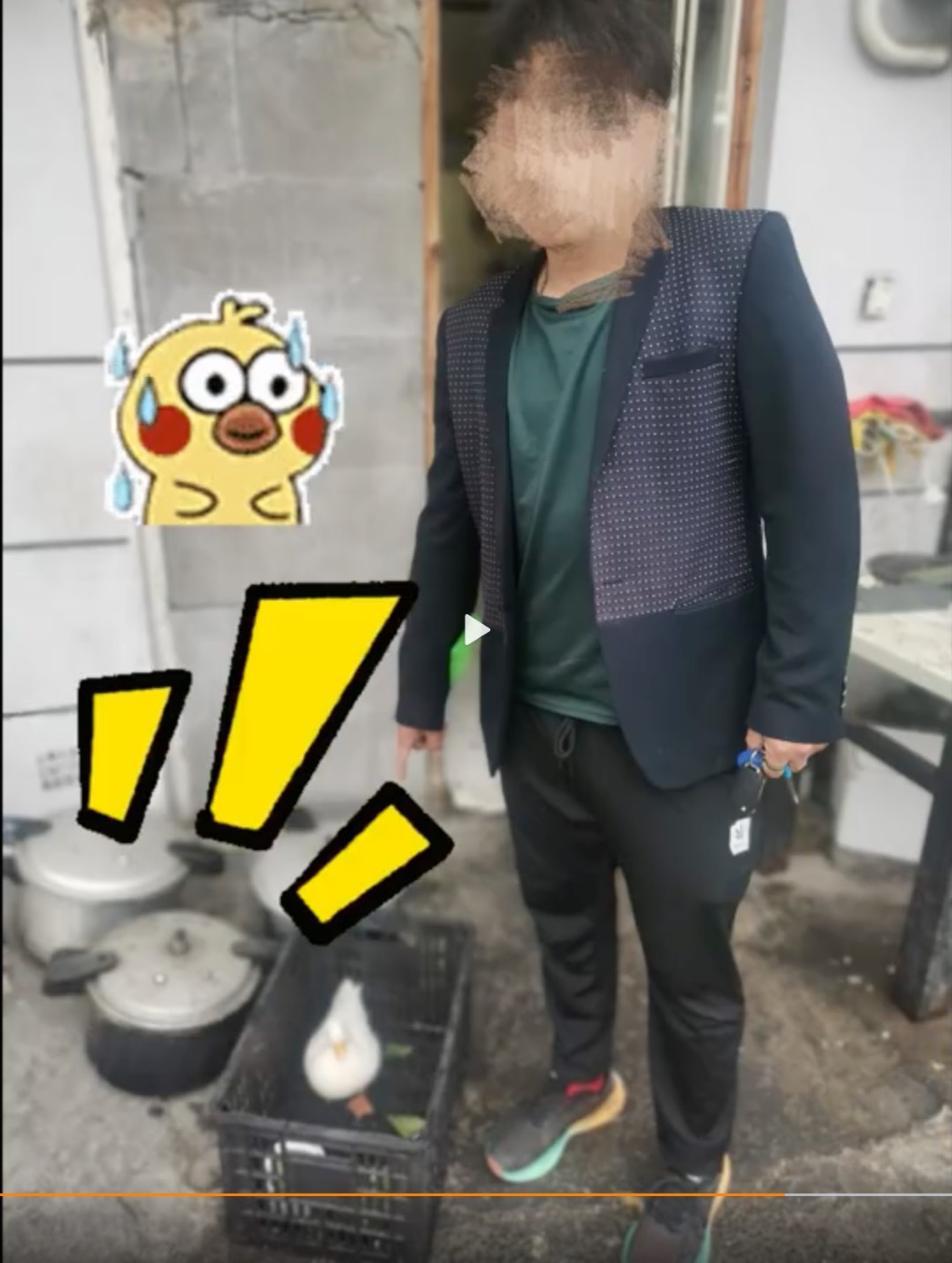 Lucky duck: Chinese police rescue stolen pet bird worth US$725 just ...