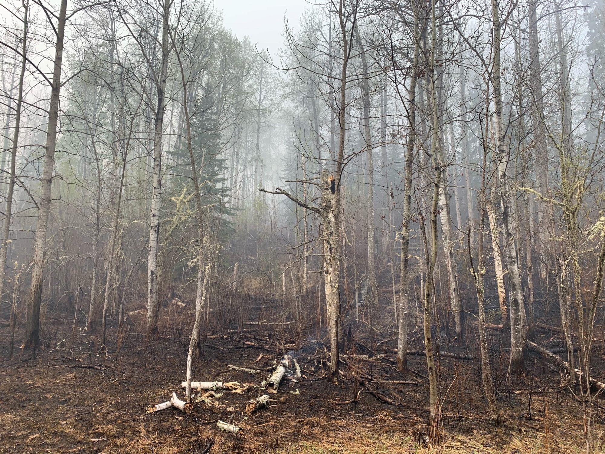 Canada’s province of Alberta faces more wildfires amid hot, dry weather ...