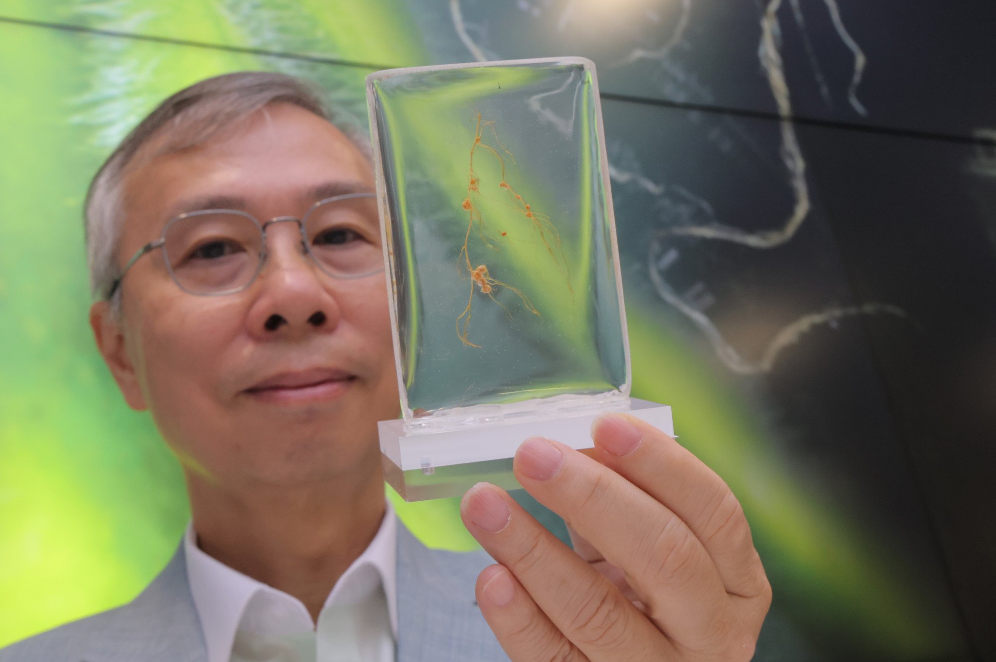 Hong Kong team sends soil bacteria on China’s Tianzhou 6 cargo craft to ...