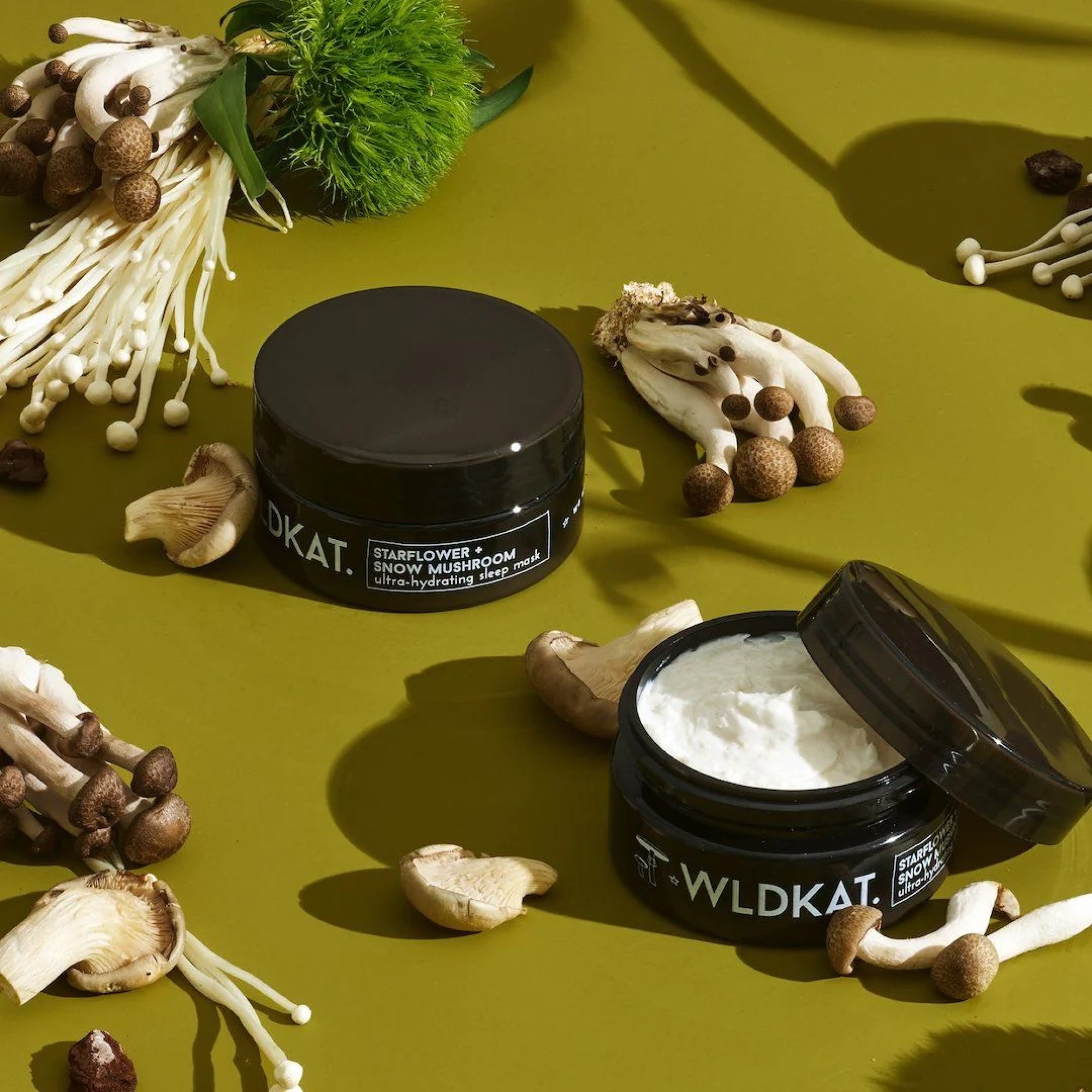 How mushroom skincare can boost your beauty routine: not just for ...
