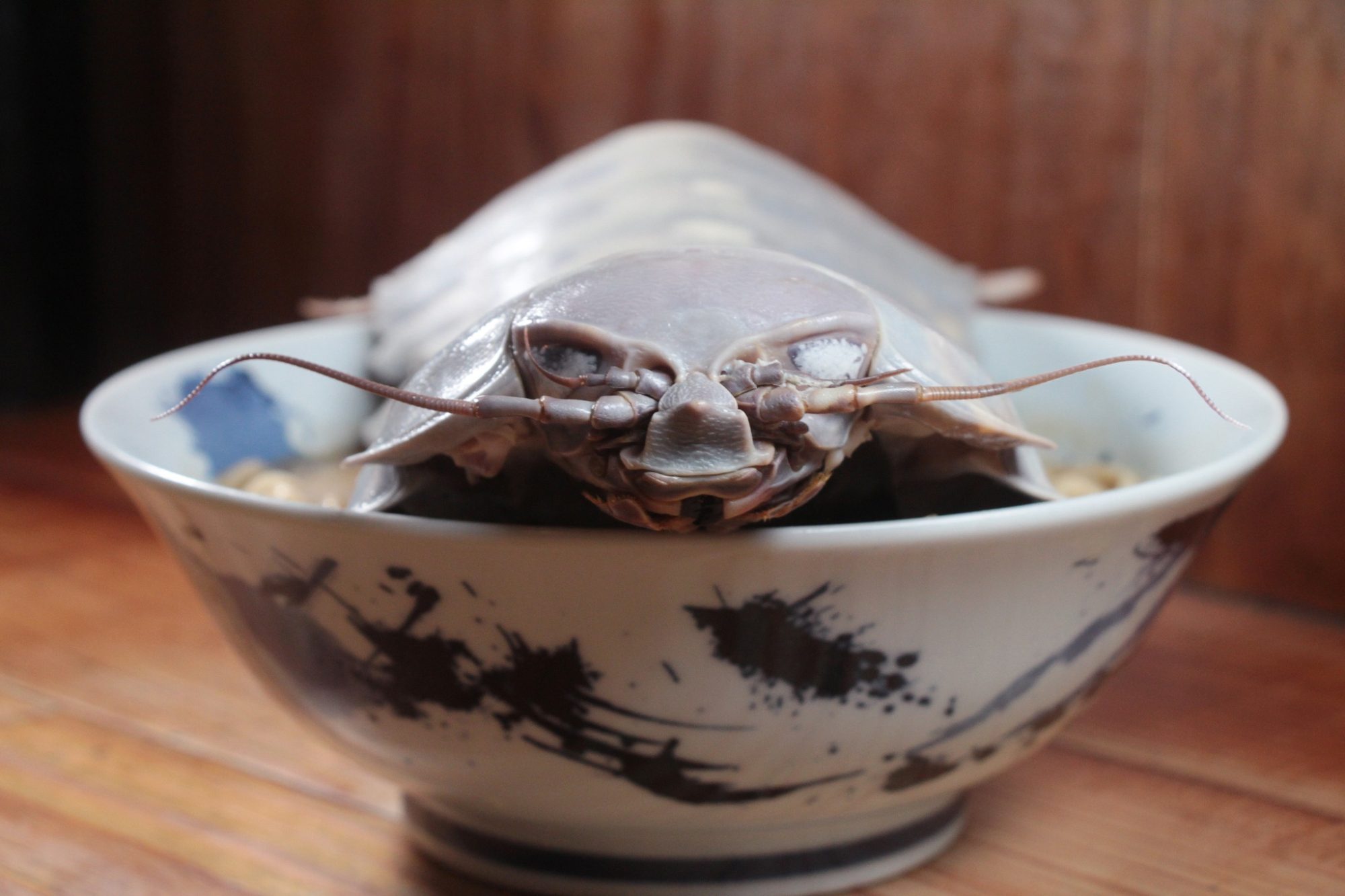 ‘Dream ingredient’: alien-like ramen dish made with a 14-legged deep ...