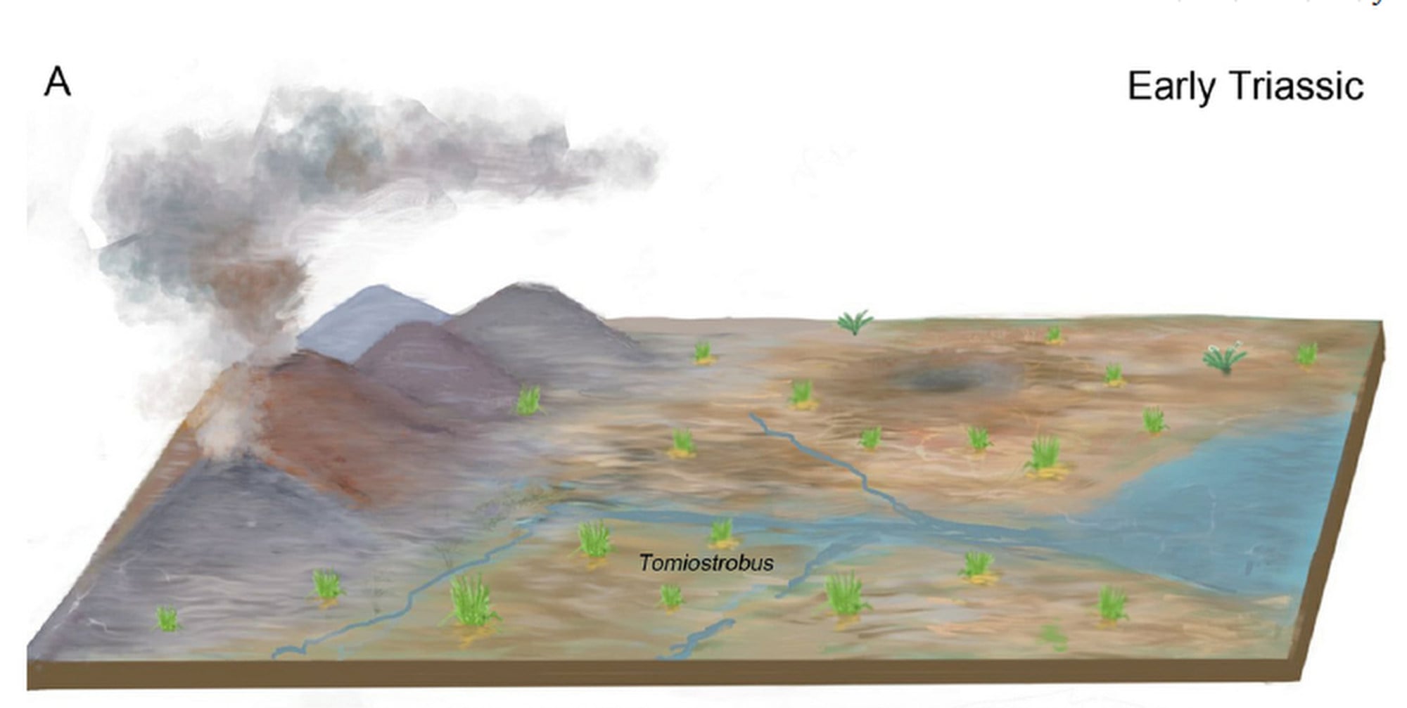 Wildfires sparked ‘the Great Dying’ on Earth 250 million years ago ...