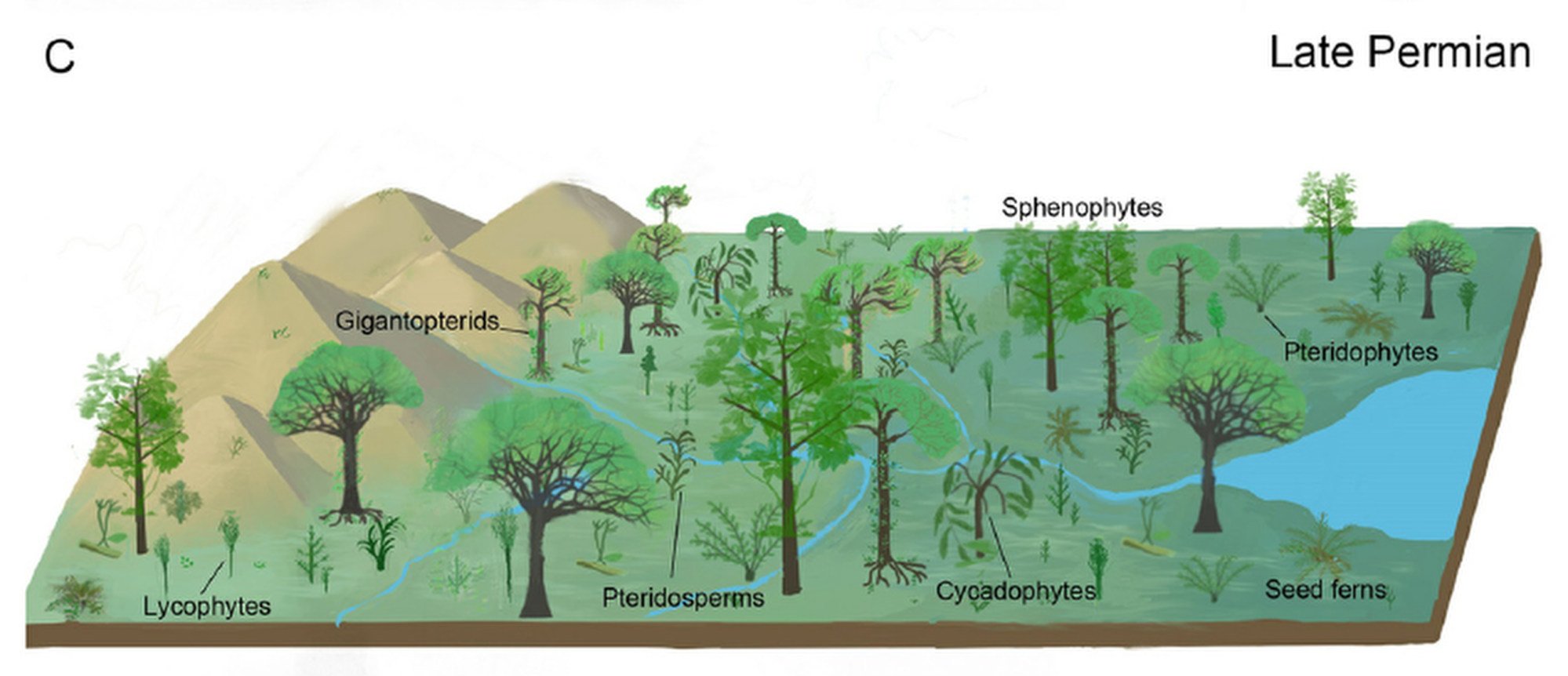 Wildfires sparked ‘the Great Dying’ on Earth 250 million years ago ...