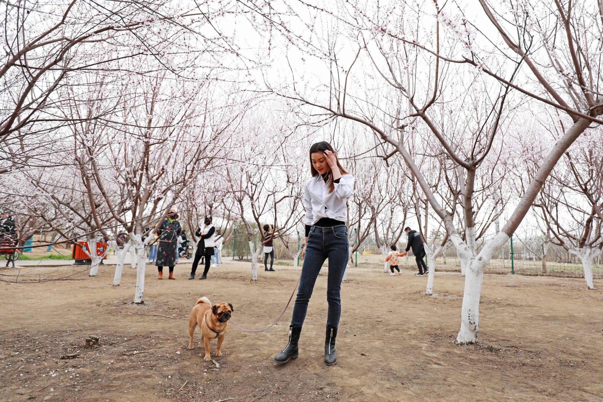 ‘Pet detectives’ who search, rescue and return lost ‘fur children’ to ...