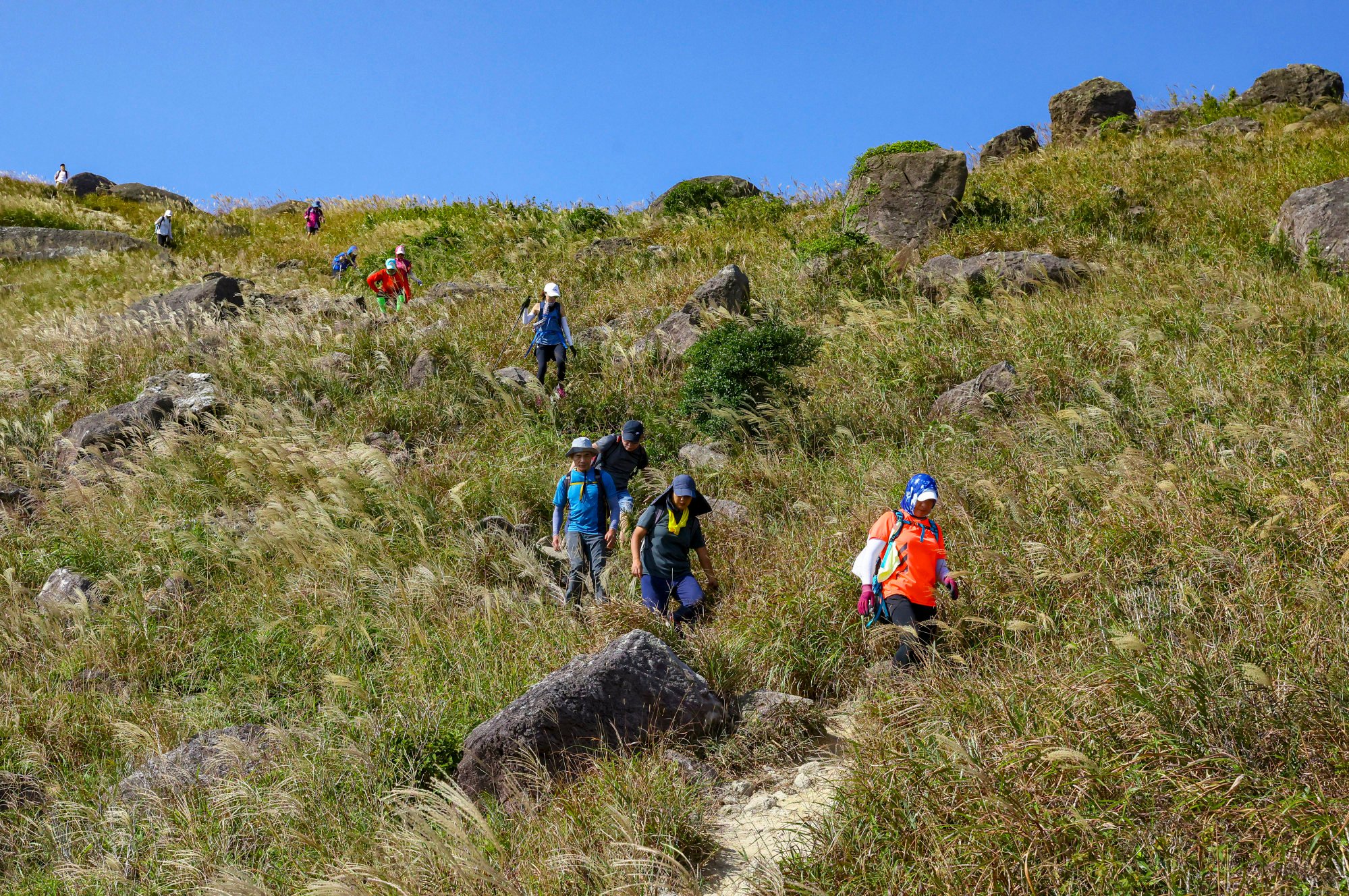 Hiking in hot weather: Hong Kong trekking expert warns against ...
