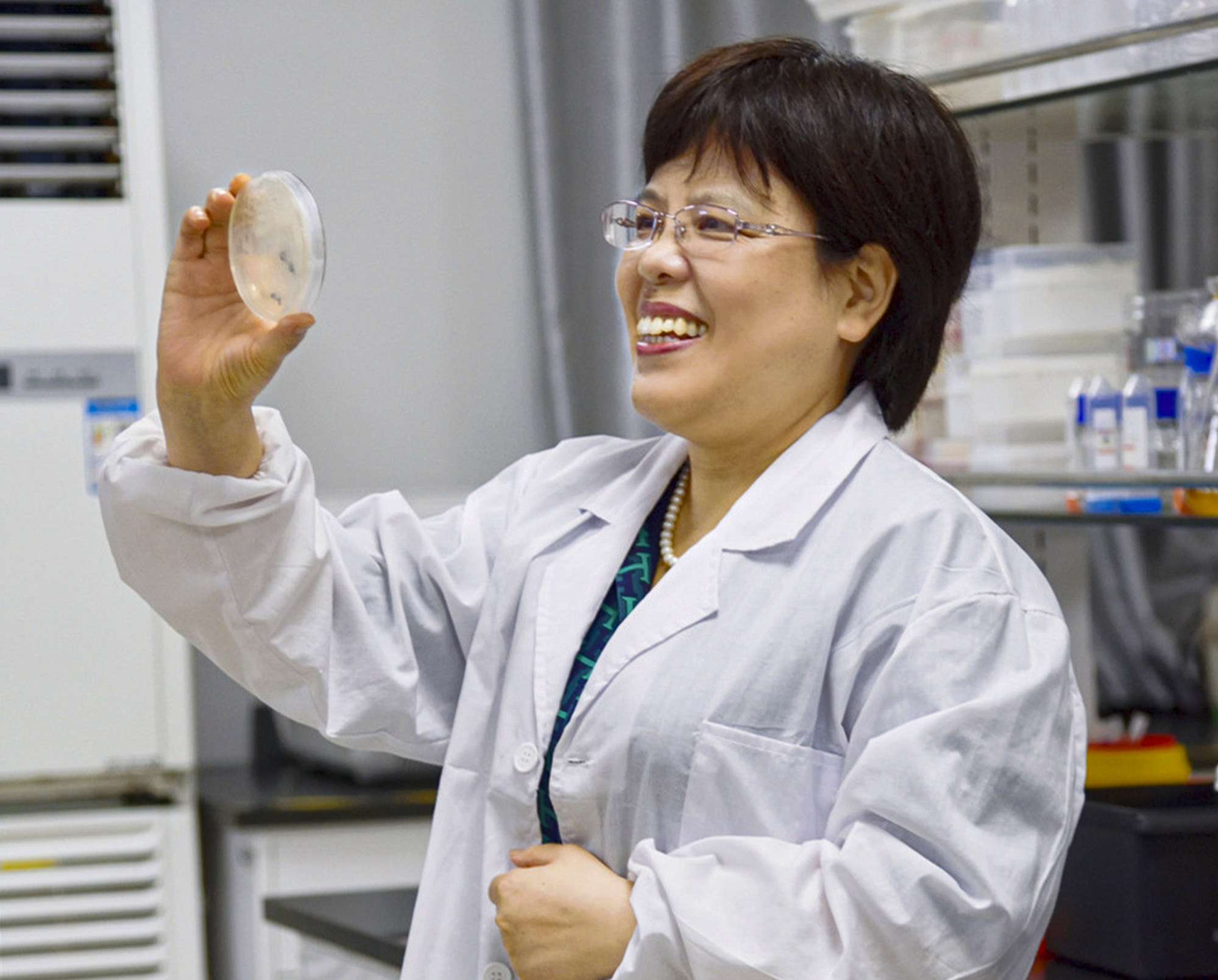 How the humble jellyfish is helping China to supercharge agriculture ...