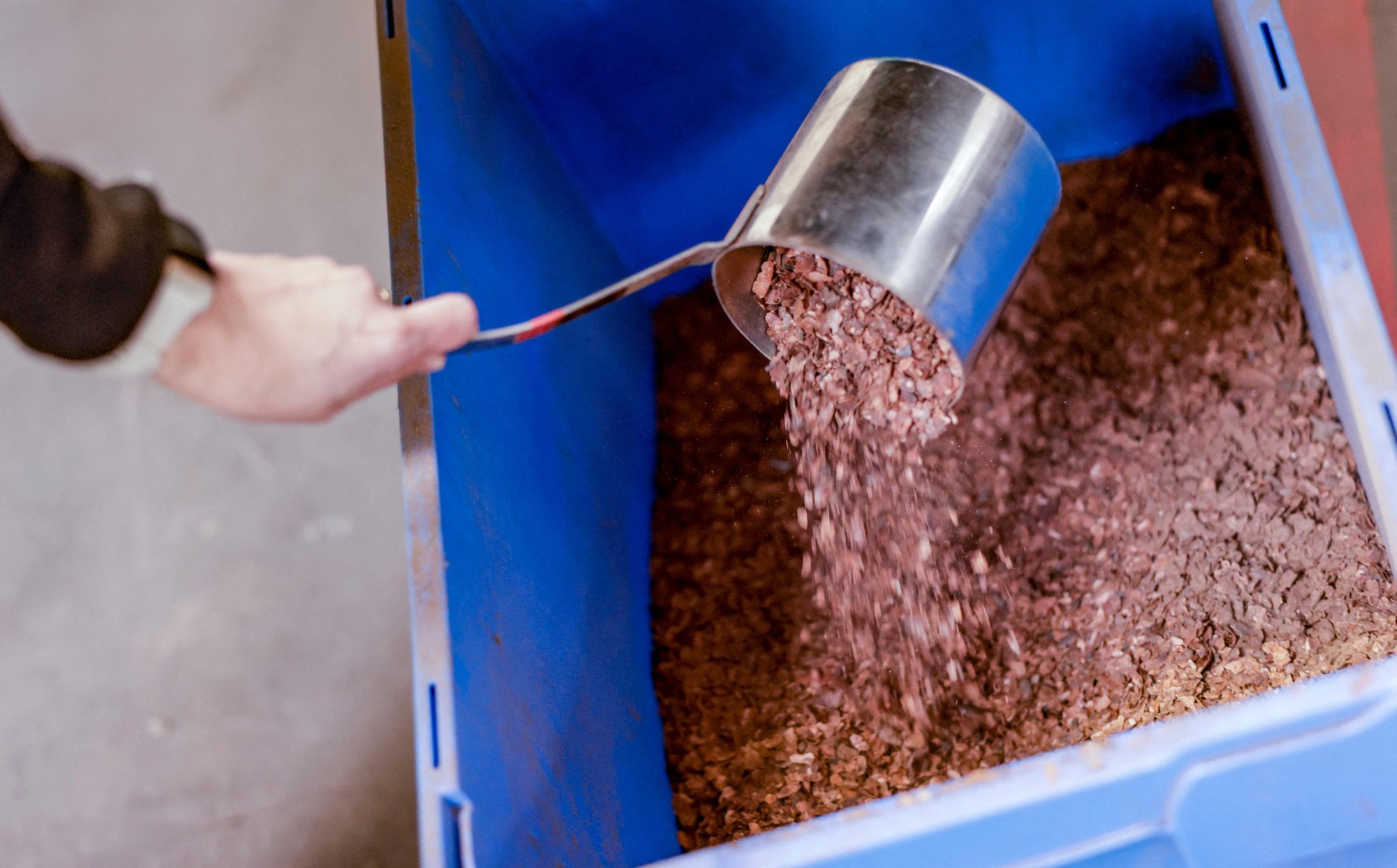 How chocolate could counter climate change | South China Morning Post