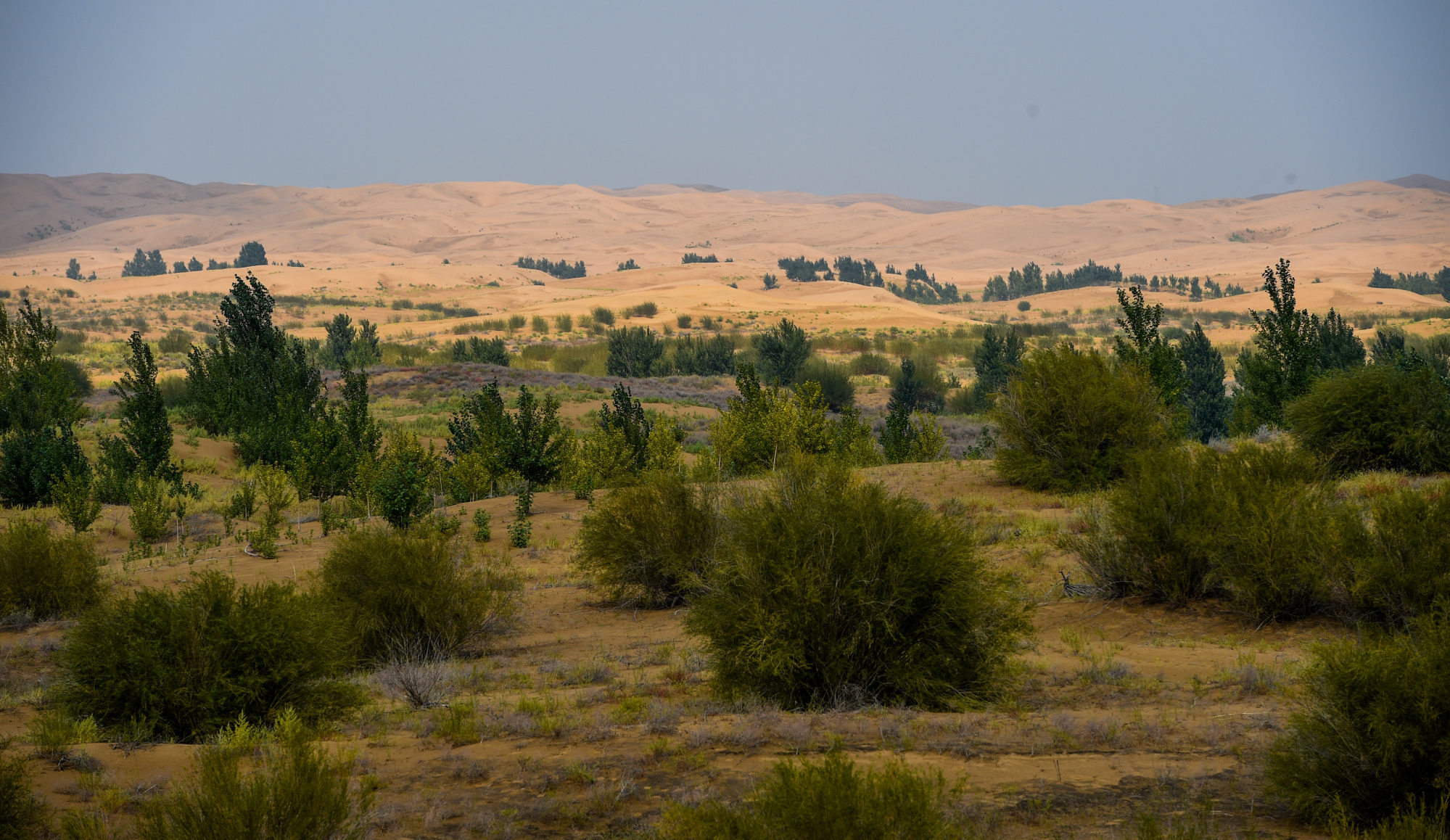 Chinese President Xi Jinping calls for greater efforts to fight ...