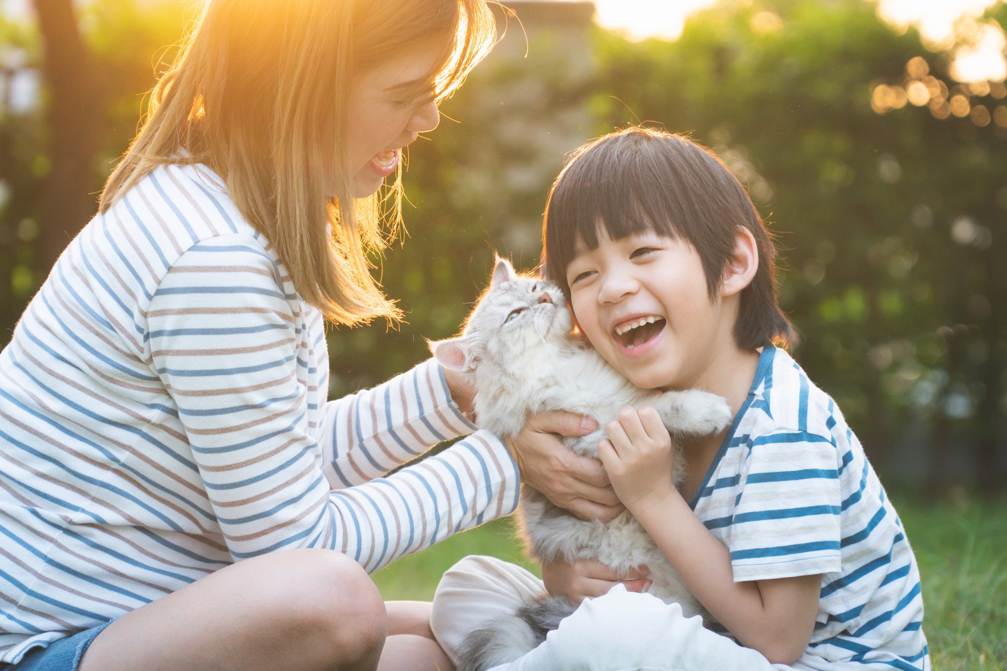 Is having a pet good for your health? Studies show heart and brain ...