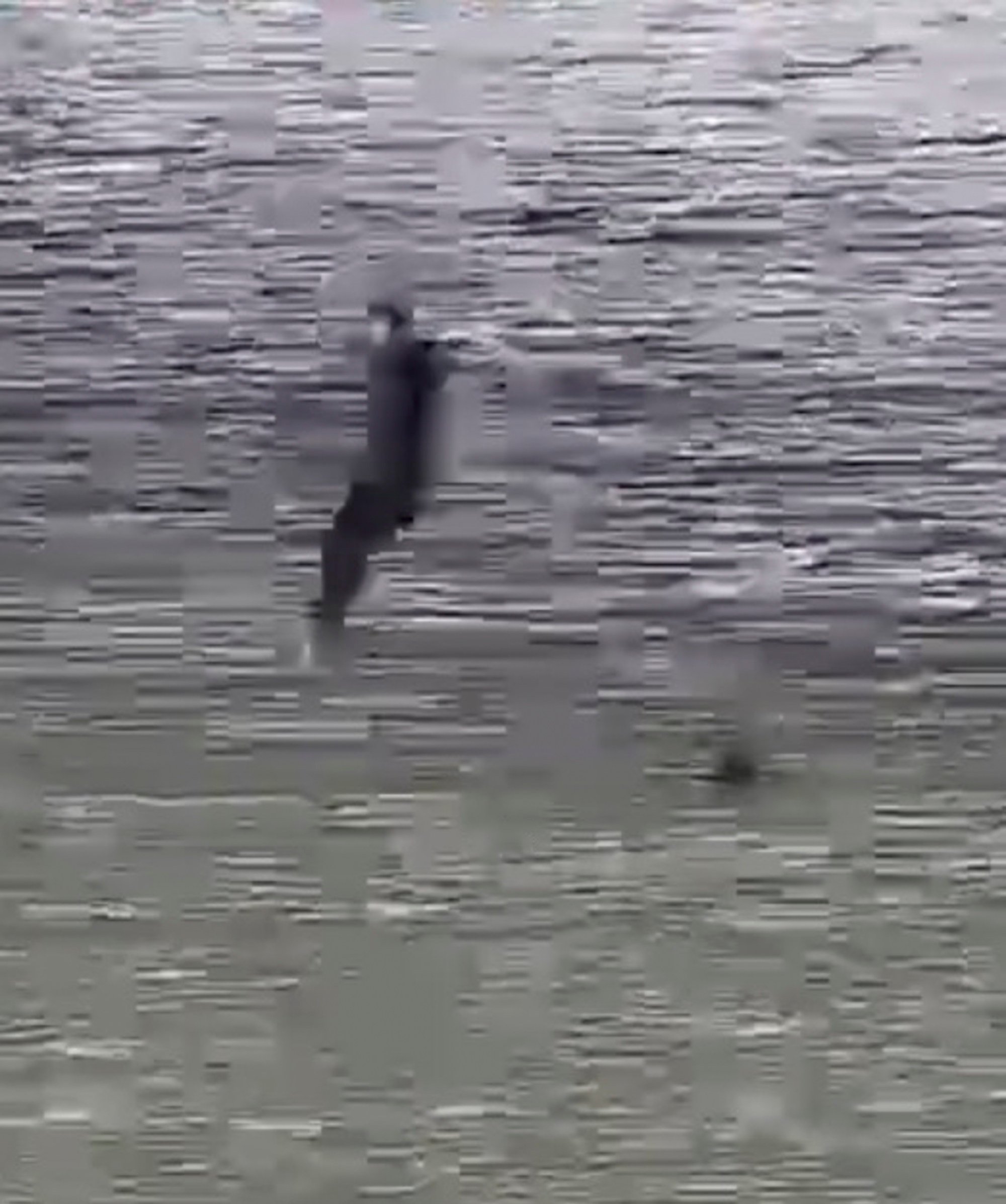 ‘Nothing more precious than life’: hero Chinese food delivery man leaps ...