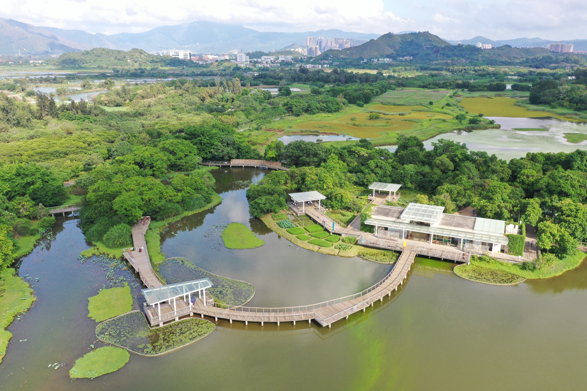 What freebies can you get on July 1? Everything you need to know about ...