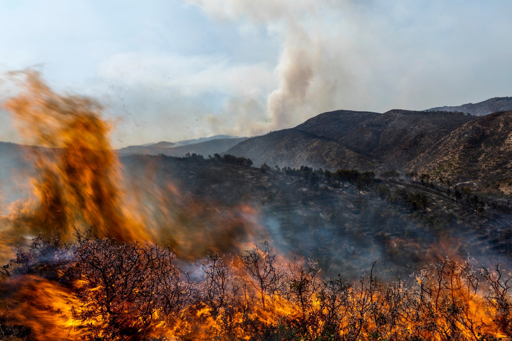With record heat and drought-stricken woods, Spain’s Catalonia faces perfect wildfire conditions ...