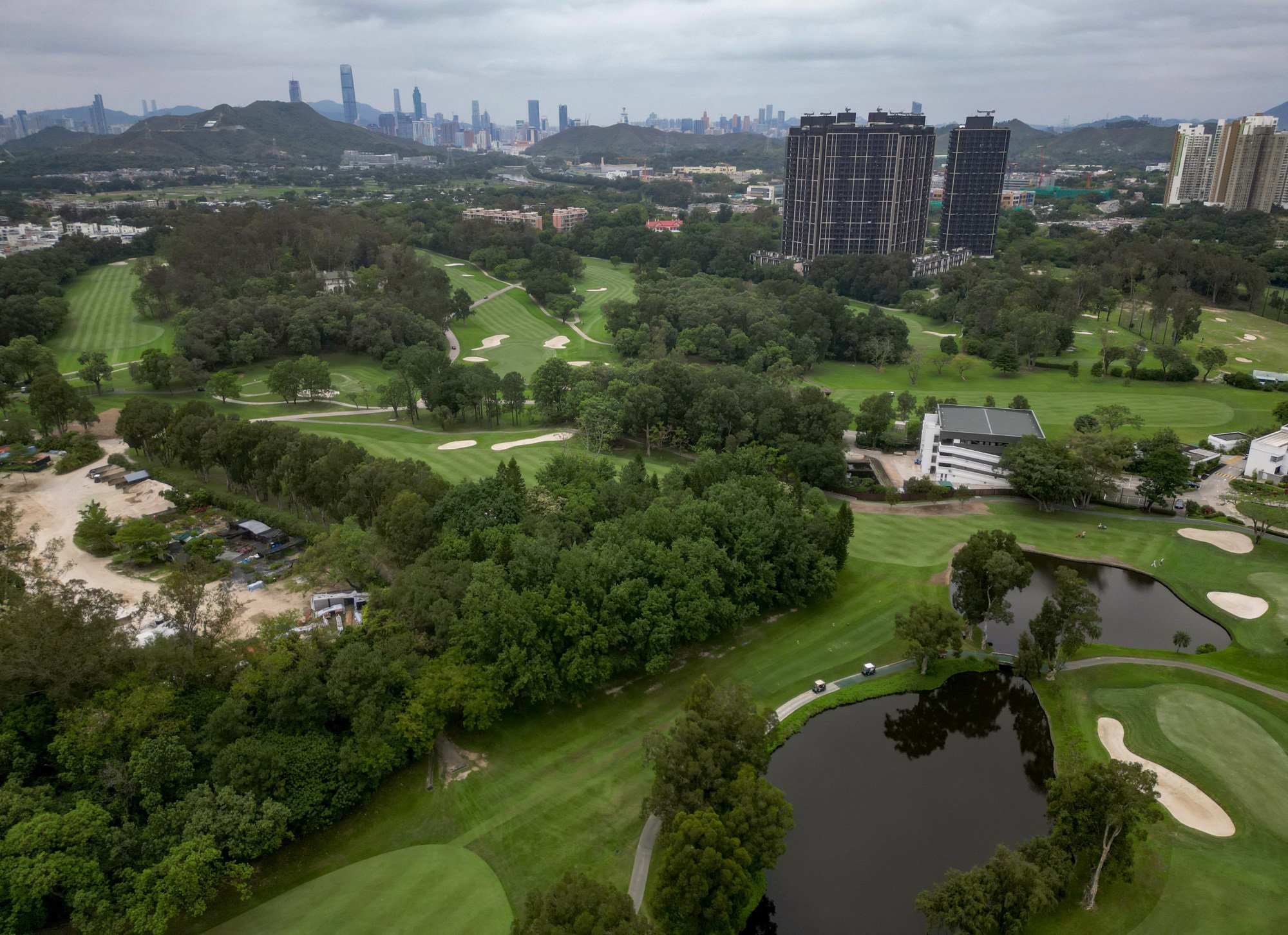 Hong Kong risks losing endangered trees under plan to build public ...