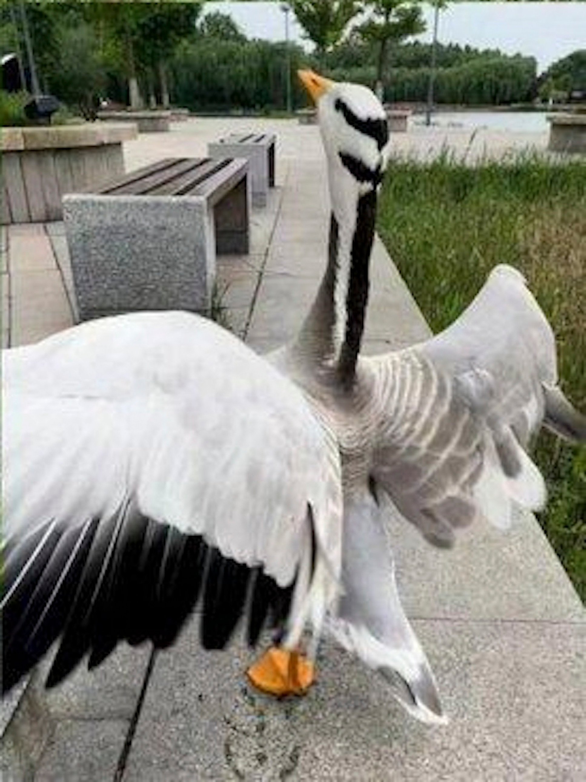 ‘It scared my daughter’: angry online fans cry foul after celebrity ...