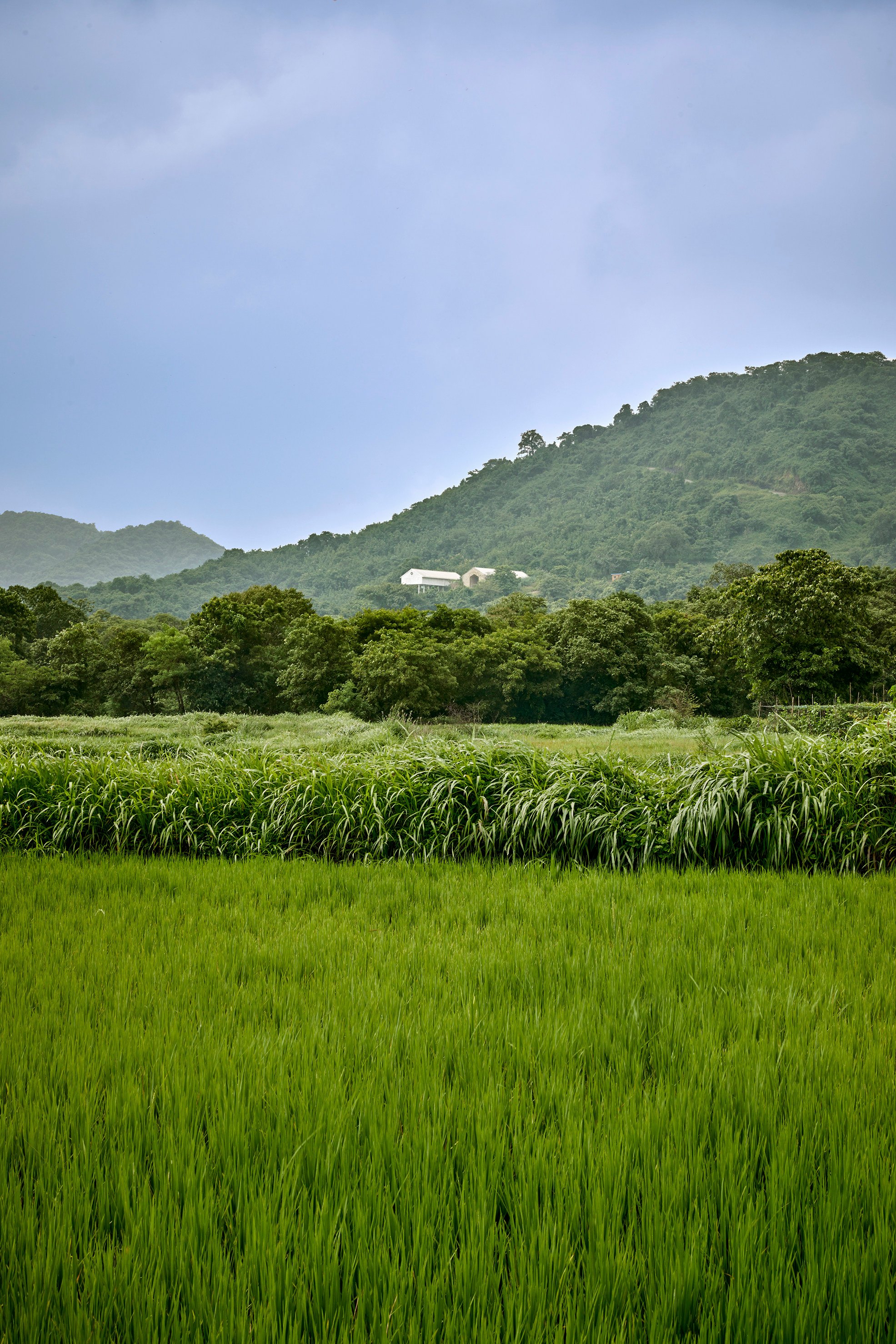 Modern plantation house near Mumbai, India, with wraparound infinity ...