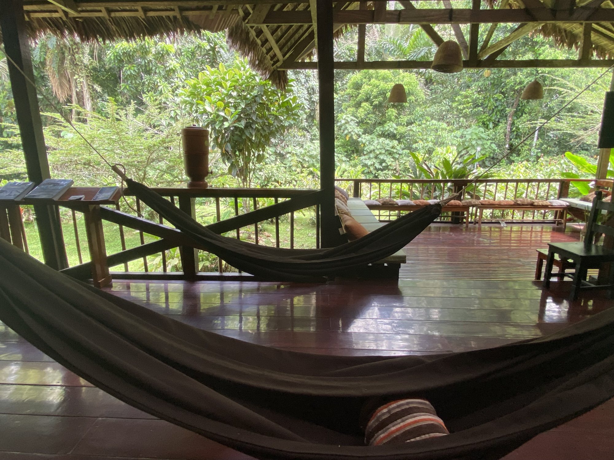 Eco-tourism in Peru: Amazon travellers get up close with sloths ...