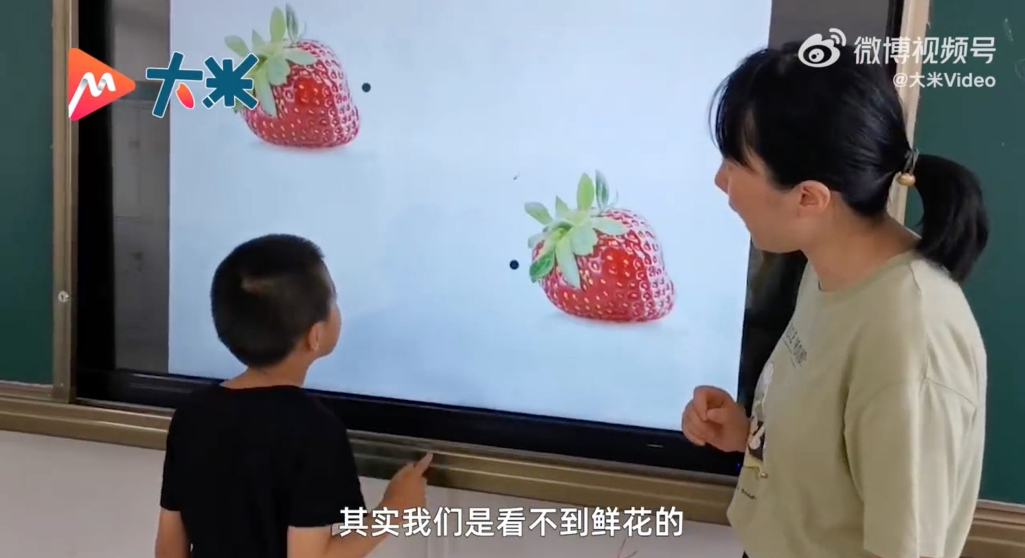 ‘No flowers, peaches or plums’: mother in China who quit job, sold home ...