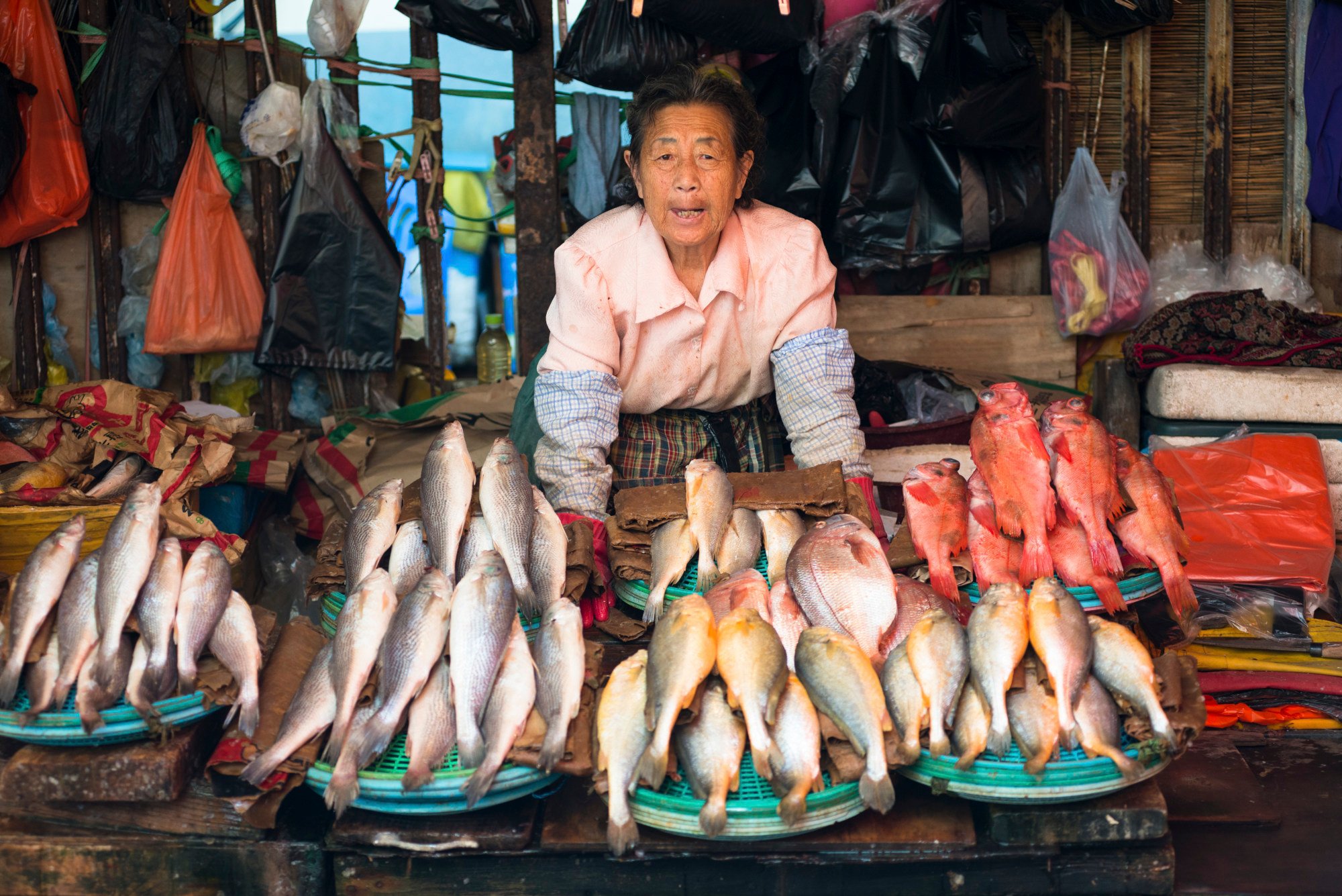 Why visit Busan in South Korea? The freshest seafood, scenery and ...