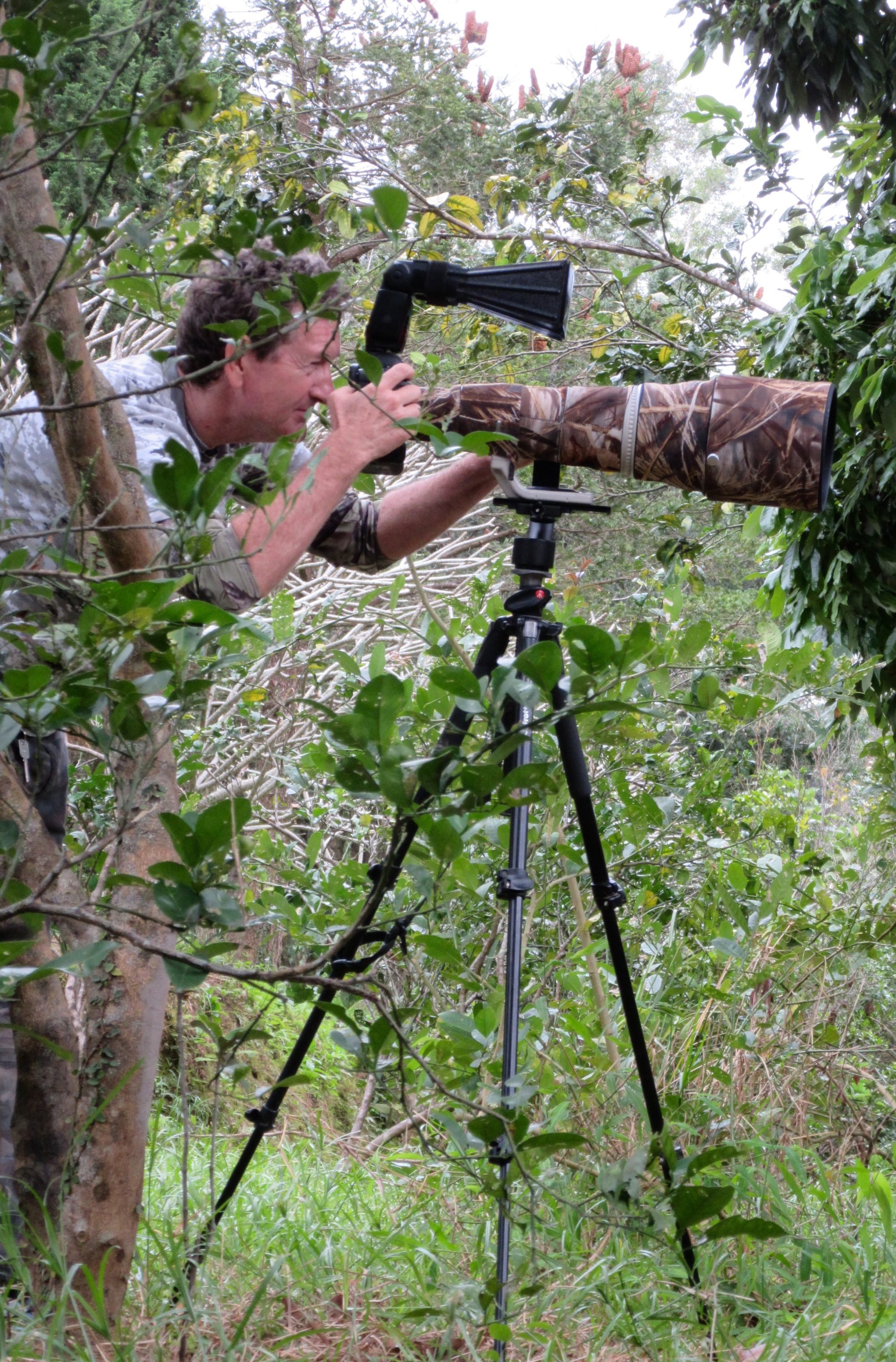 The average hiker’s guide to Hong Kong wildlife, from snakes to lizards ...