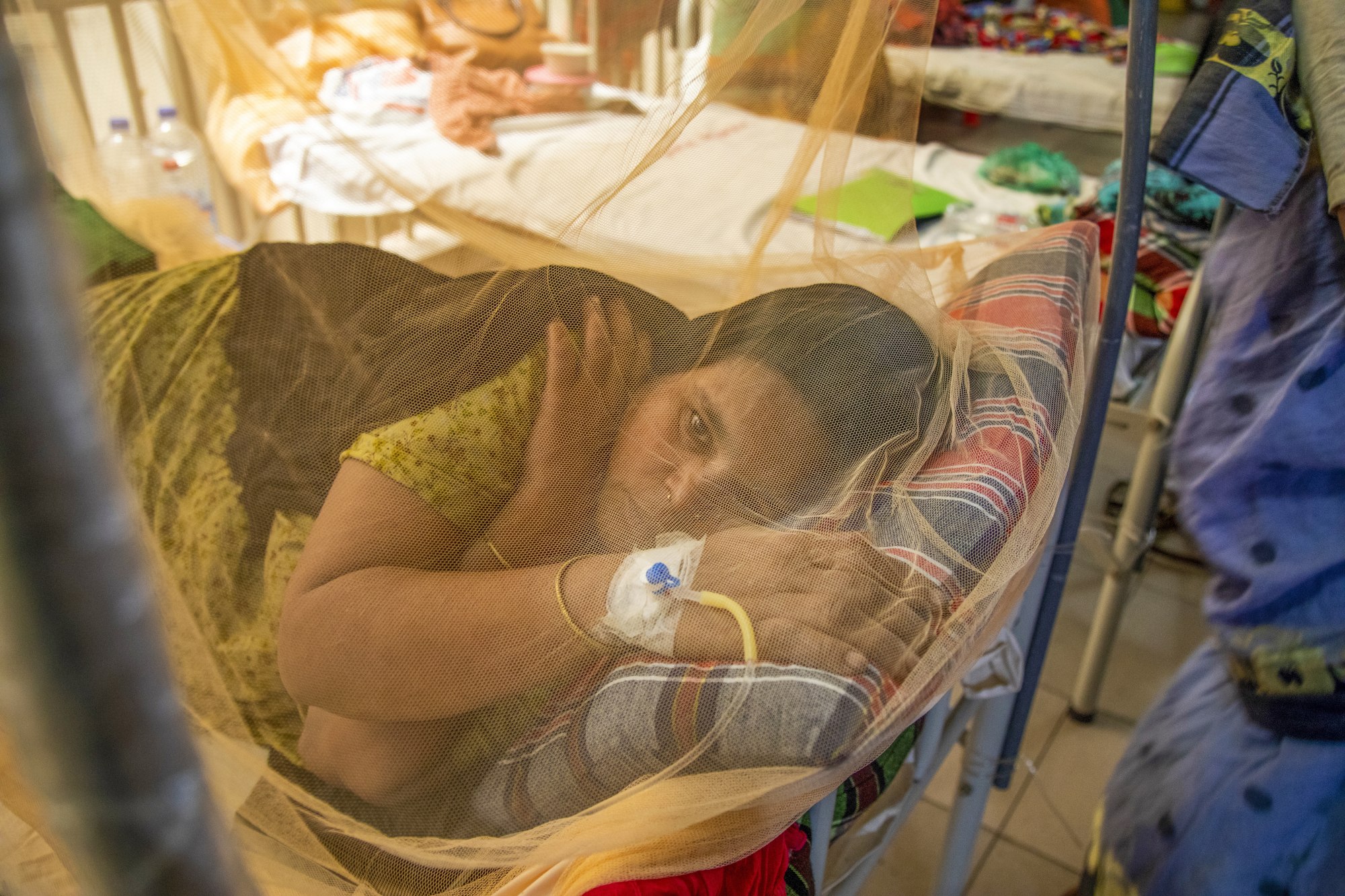 ‘A week from hell’: dengue fever patient shares her battle with the ...