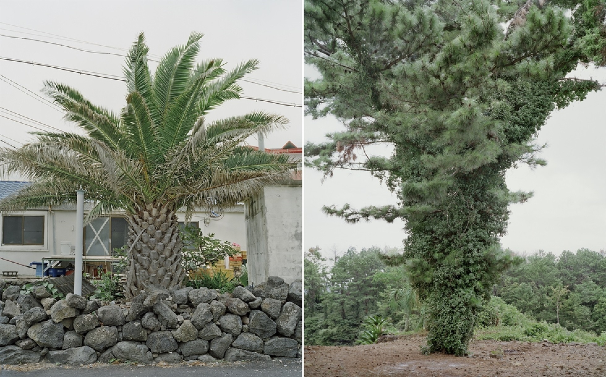 Inspiring stories of women as told by Korean photographer, from brides ...