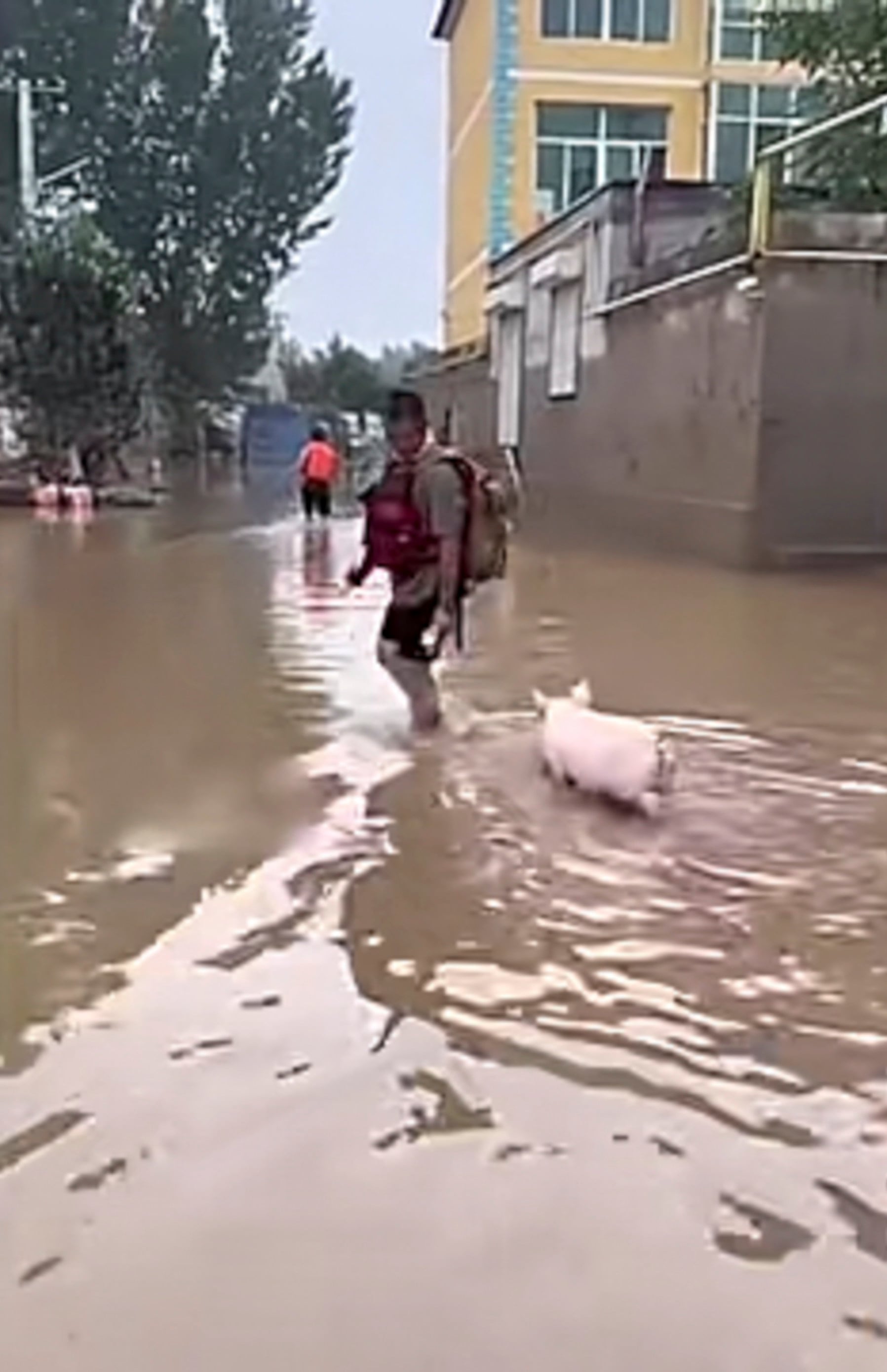 Floods of humanity: China rescuers inundate social media with selfless ...