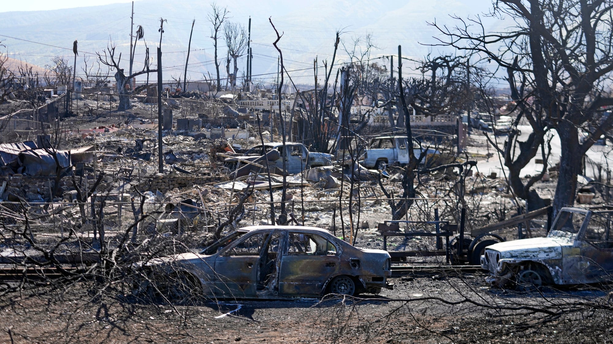 Maui fire survivors describe nighttime looting as local leadership ...
