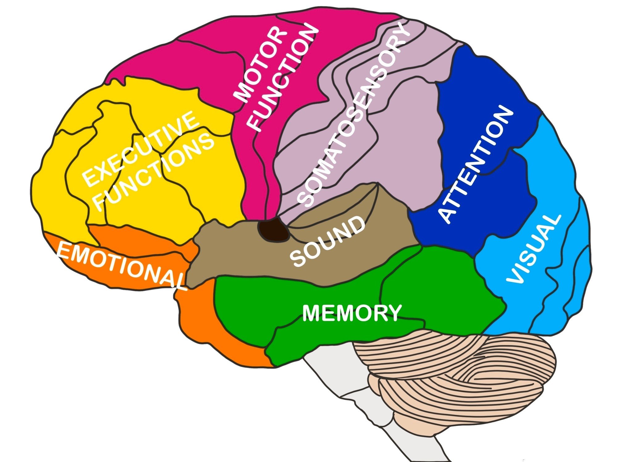 ‘An attack by aliens’: how to deal with a dementia patient’s delusions ...