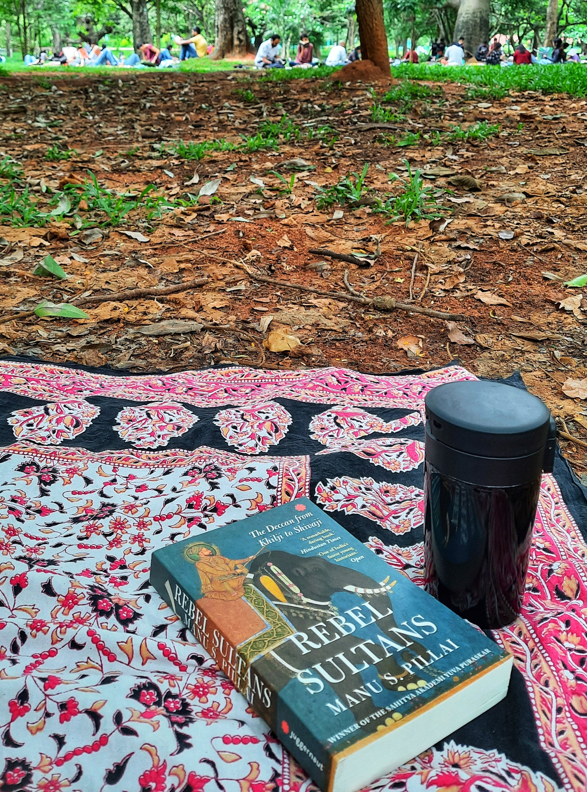 Reading quietly in a park has gone viral, thanks to Indian Instagram ...
