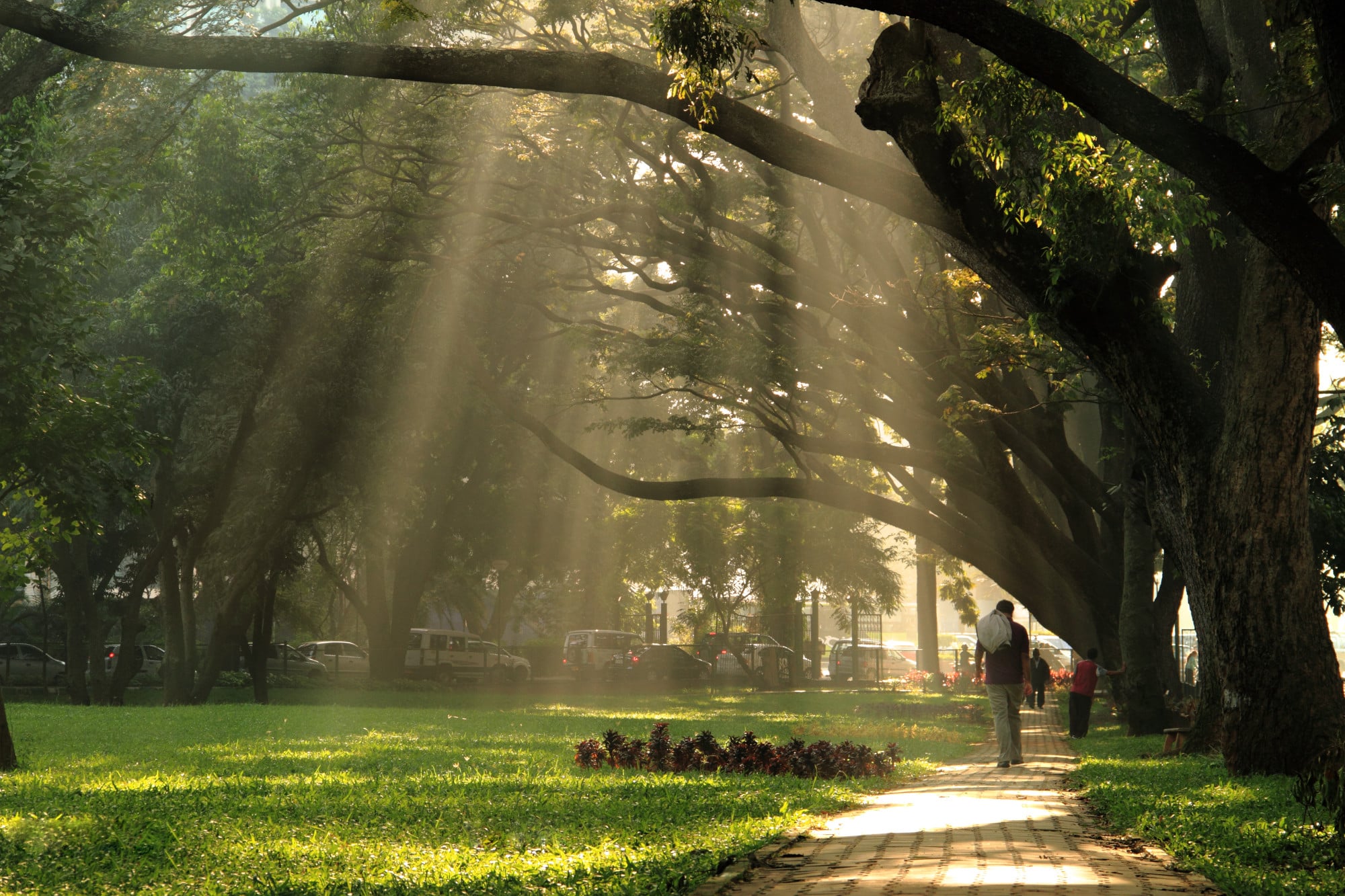 Reading quietly in a park has gone viral, thanks to Indian Instagram ...