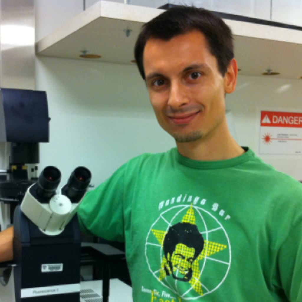 Unravelling 2 Alzheimer’s markers: what are amyloid plaques and tau ...